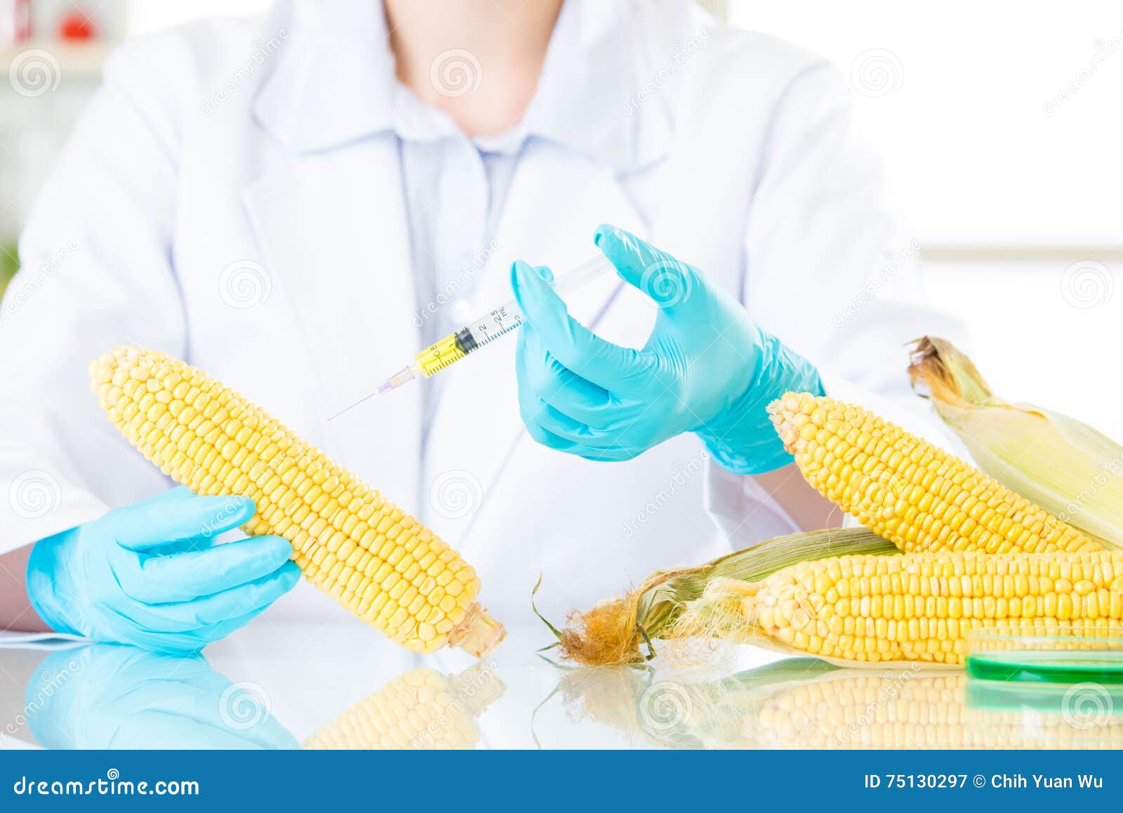 Biotechnology Lab To Develop Genetic Modification Food Stock Image ...