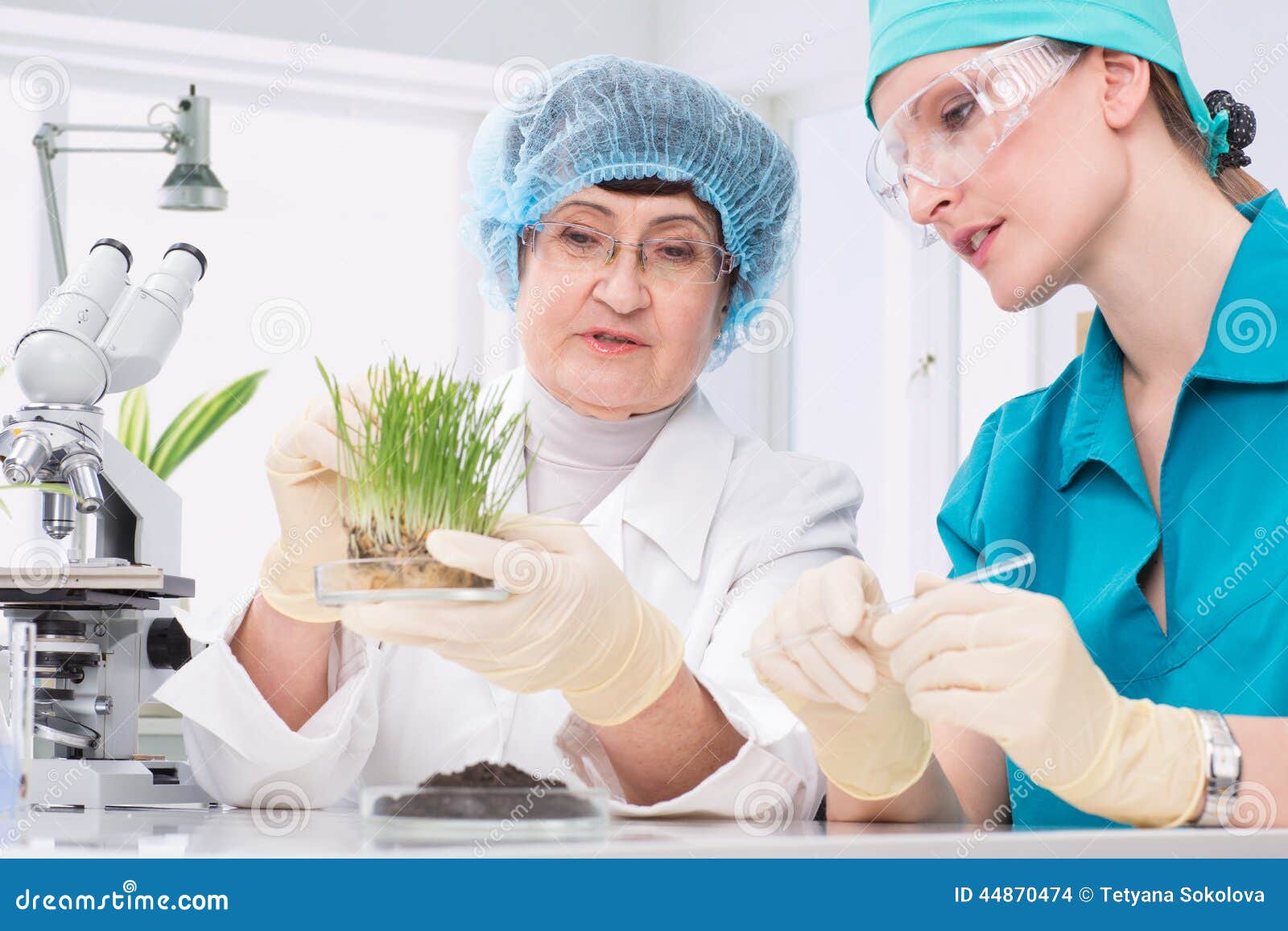 Biotechnology laboratory stock photo. Image of science - 44870474