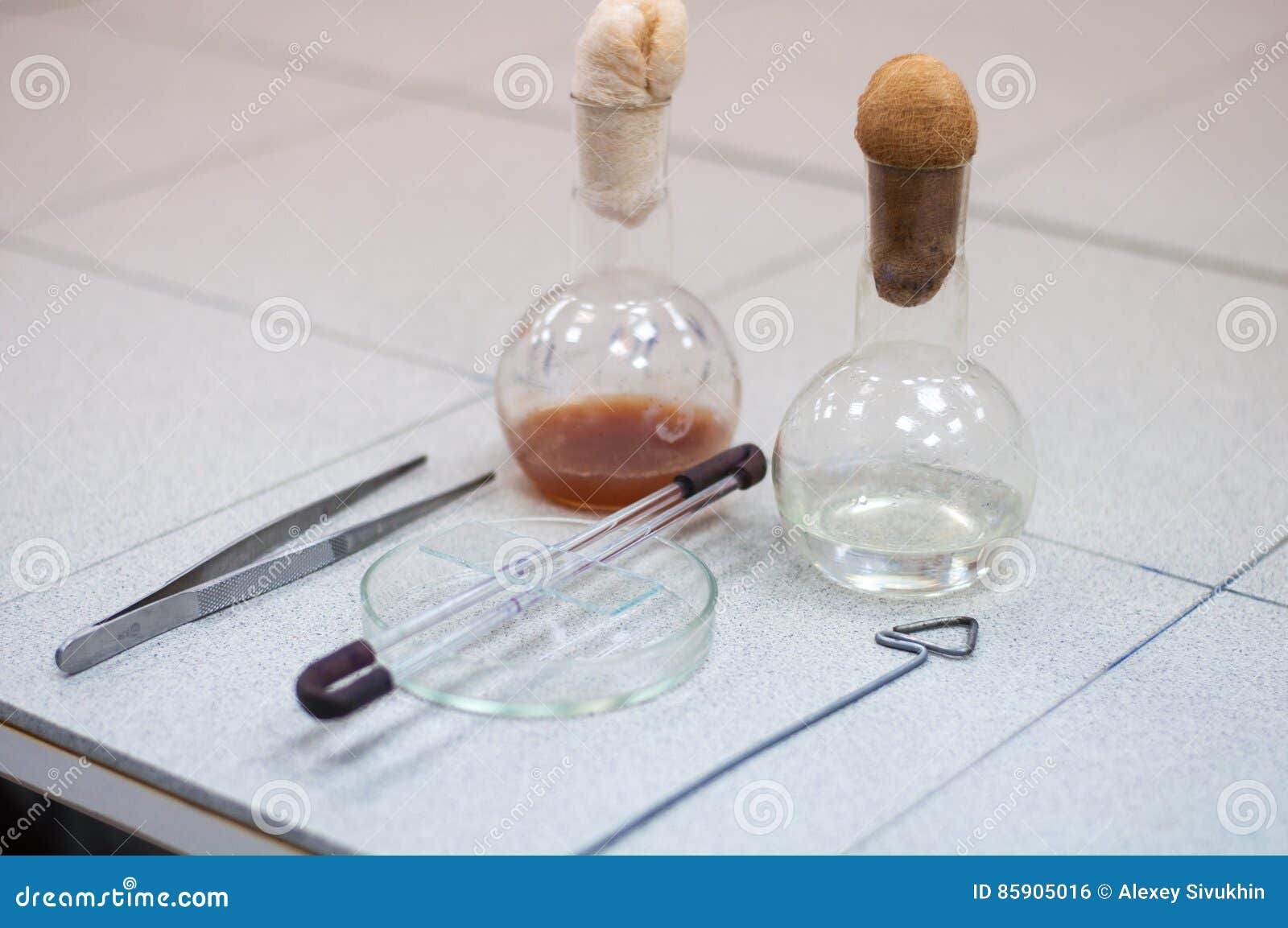 Biotechnology Laboratory Glassware on Table Stock Photo - Image of ...