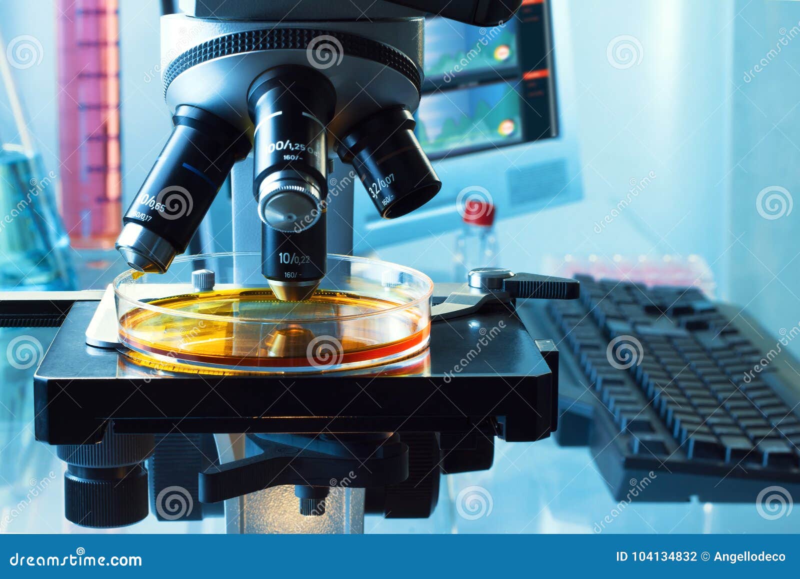 Biotechnology Laboratory with a Microscope Analyzing a Plate Stock ...
