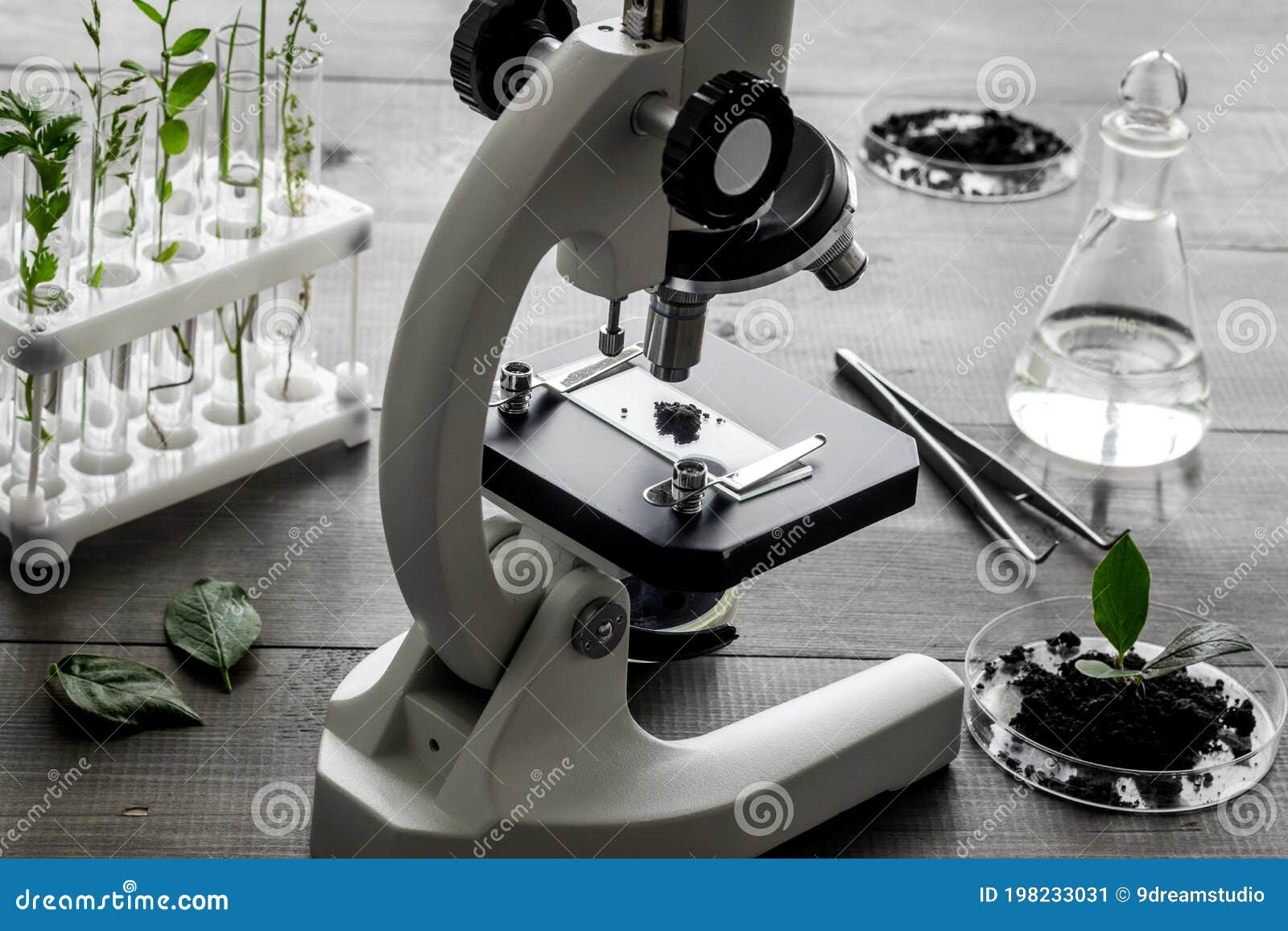 Biotechnology Laboratory with Plants and Microscope on Table. Stock ...