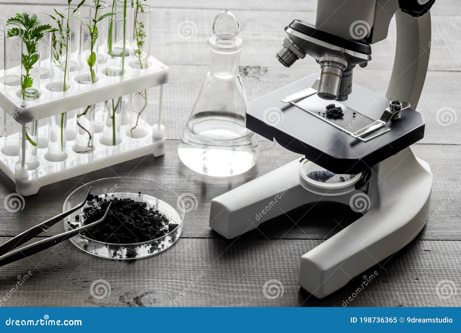 Biotechnology Laboratory with Plants and Microscope on Table. Stock ...