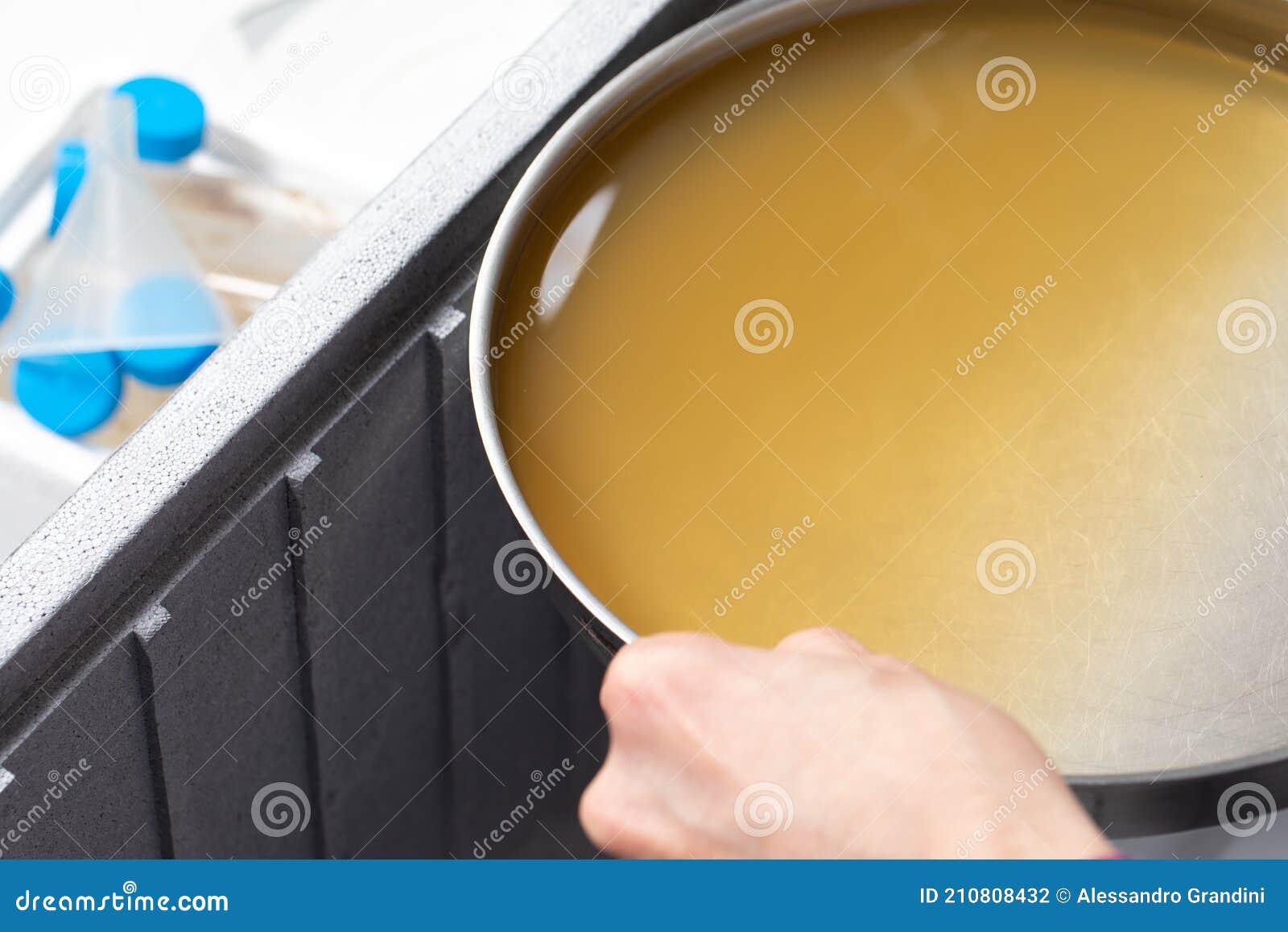 Biotechnology and New Testing Techniques: Biological Tests in the ...