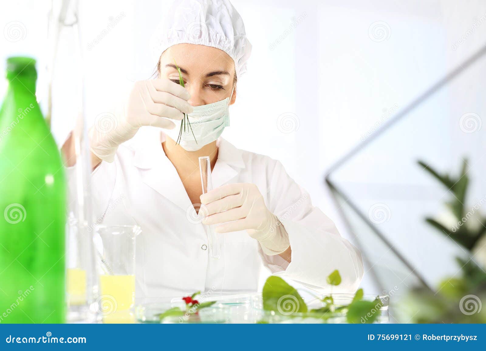 Biotechnology in Plant Breeding Stock Image - Image of mask, expertise ...