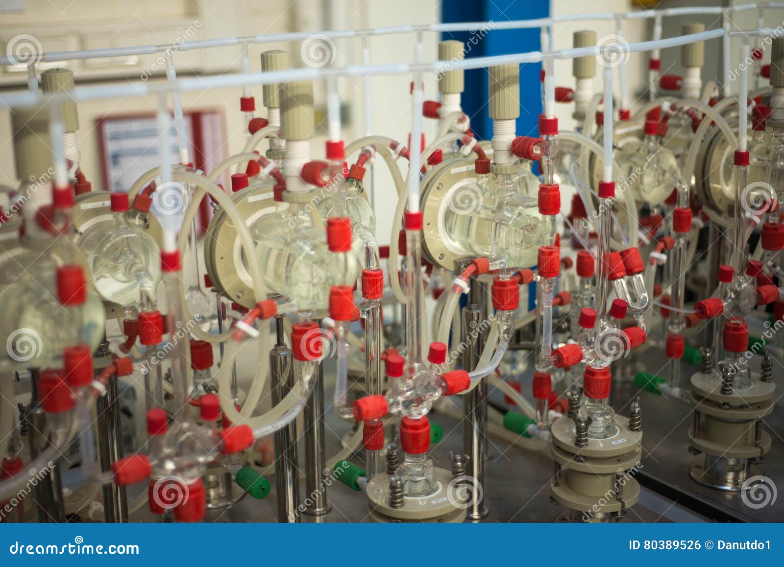 Biotechnology research lab stock photo. Image of discovery - 80389526