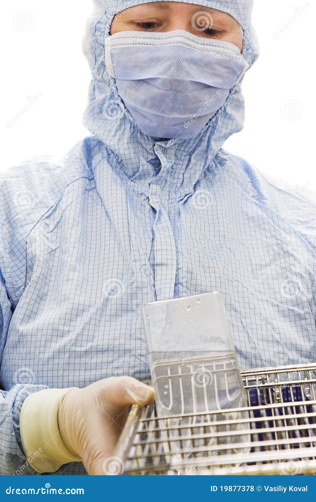 Biotechnology researcher stock photo. Image of cell, biology - 19877378