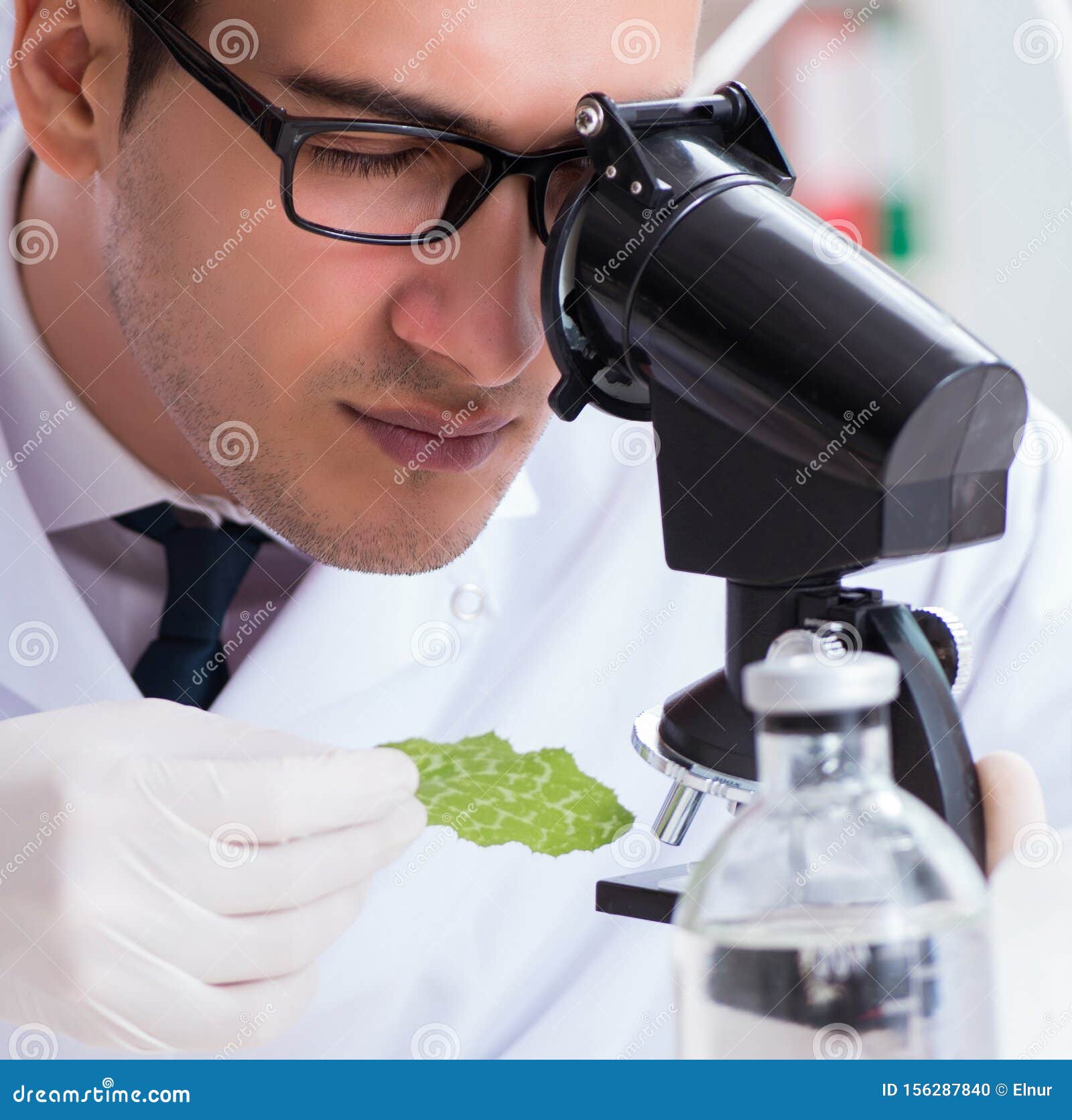 Biotechnology Scientist Chemist Working in Lab Stock Photo - Image of ...