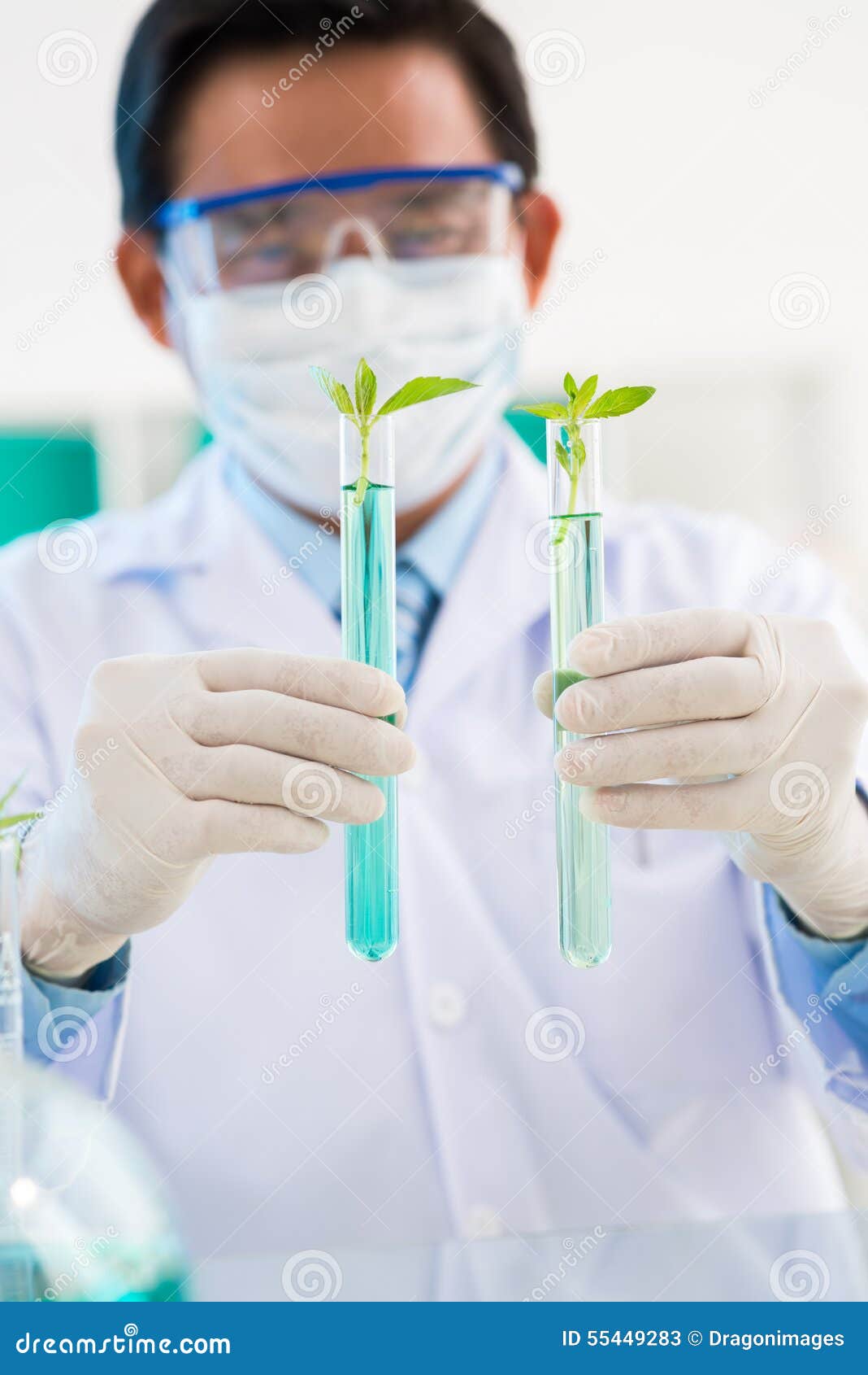Biotechnology stock image. Image of testing, asian, plant - 55449283