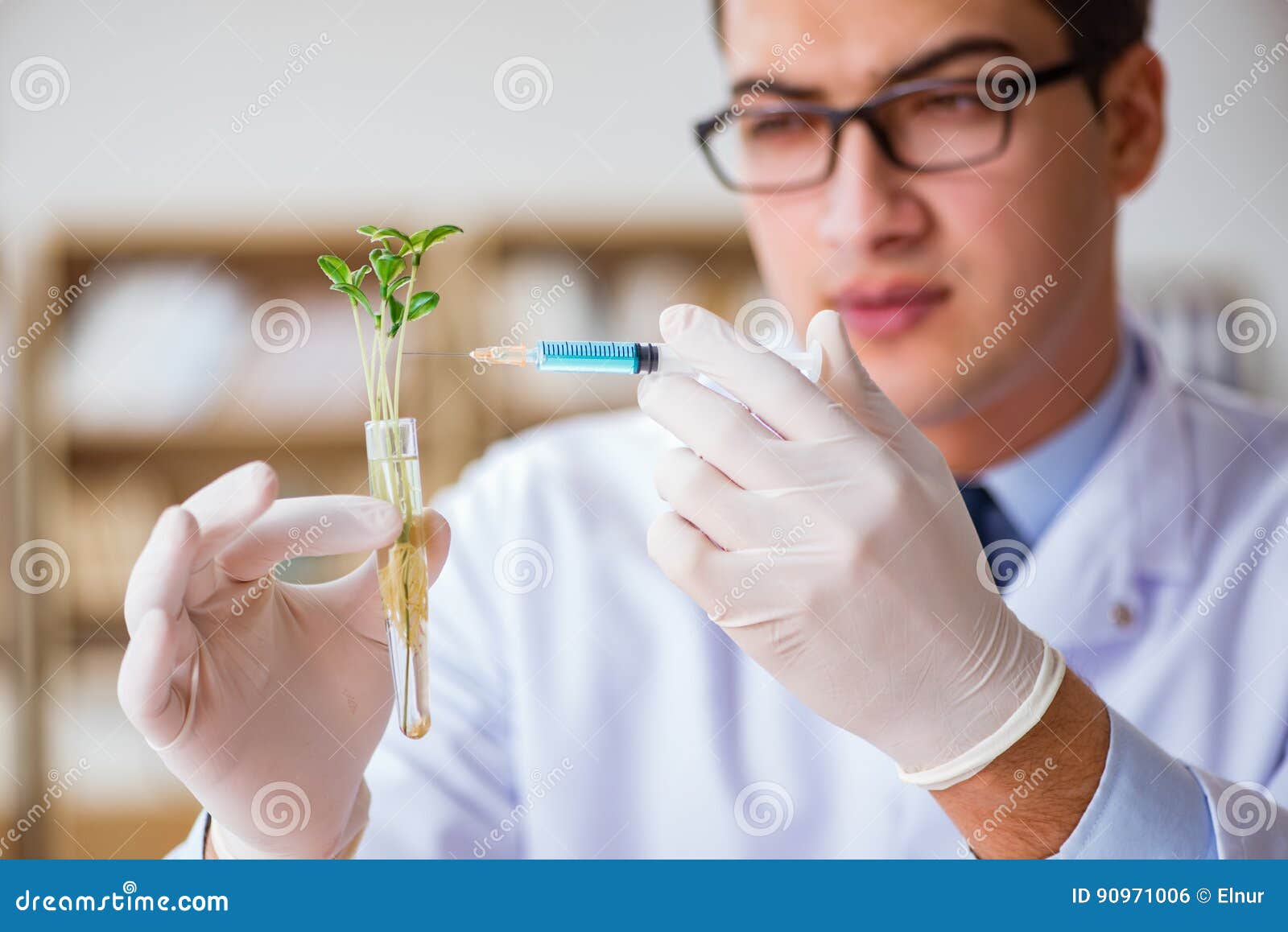 The Biotechnology Scientist Working in the Lab Stock Photo - Image of ...