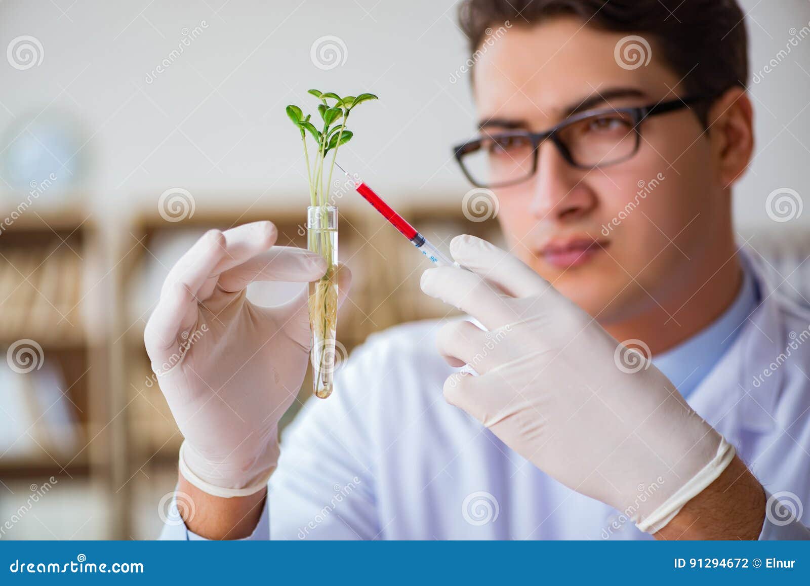The Biotechnology Scientist Working in the Lab Stock Photo - Image of ...