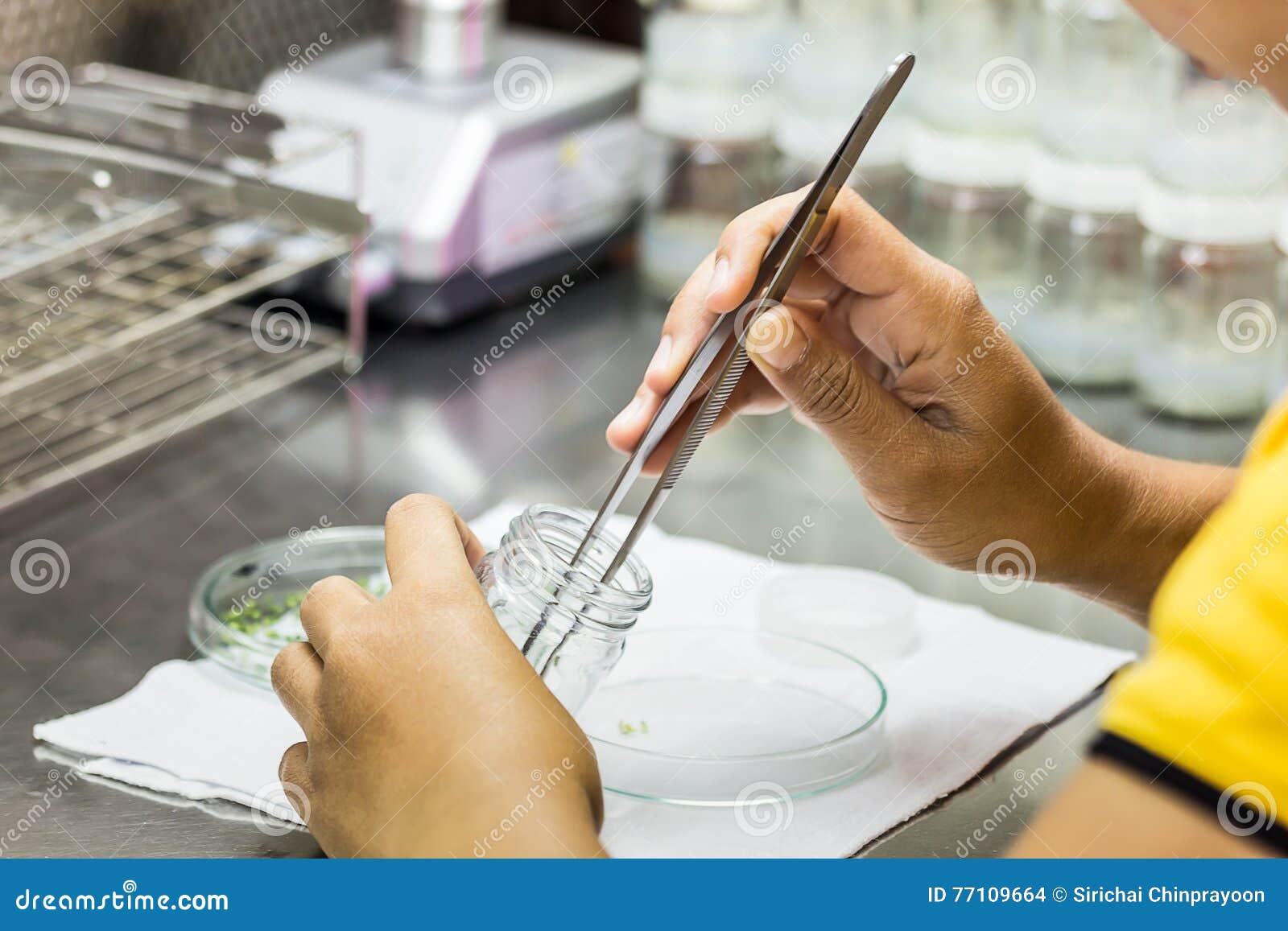 Plant Tissue Culture Laboratory Equipments