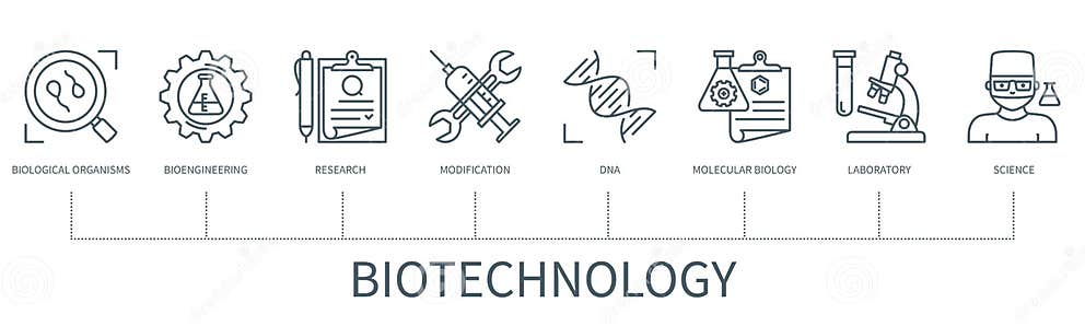 Biotechnology Vector Infographic In Minimal Outline Style Stock