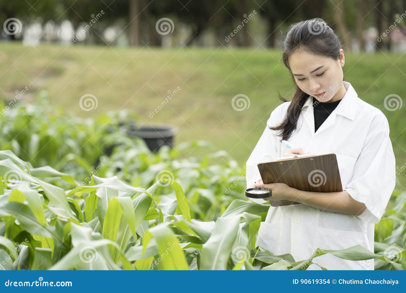 Biotechnology Woman Engineer Stock Photo - Image of food, modification ...