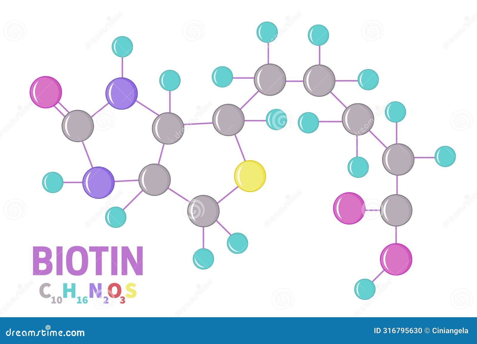 Biotin Vitamin B7 Chemical Formula And Skeletal Structure Vector ...