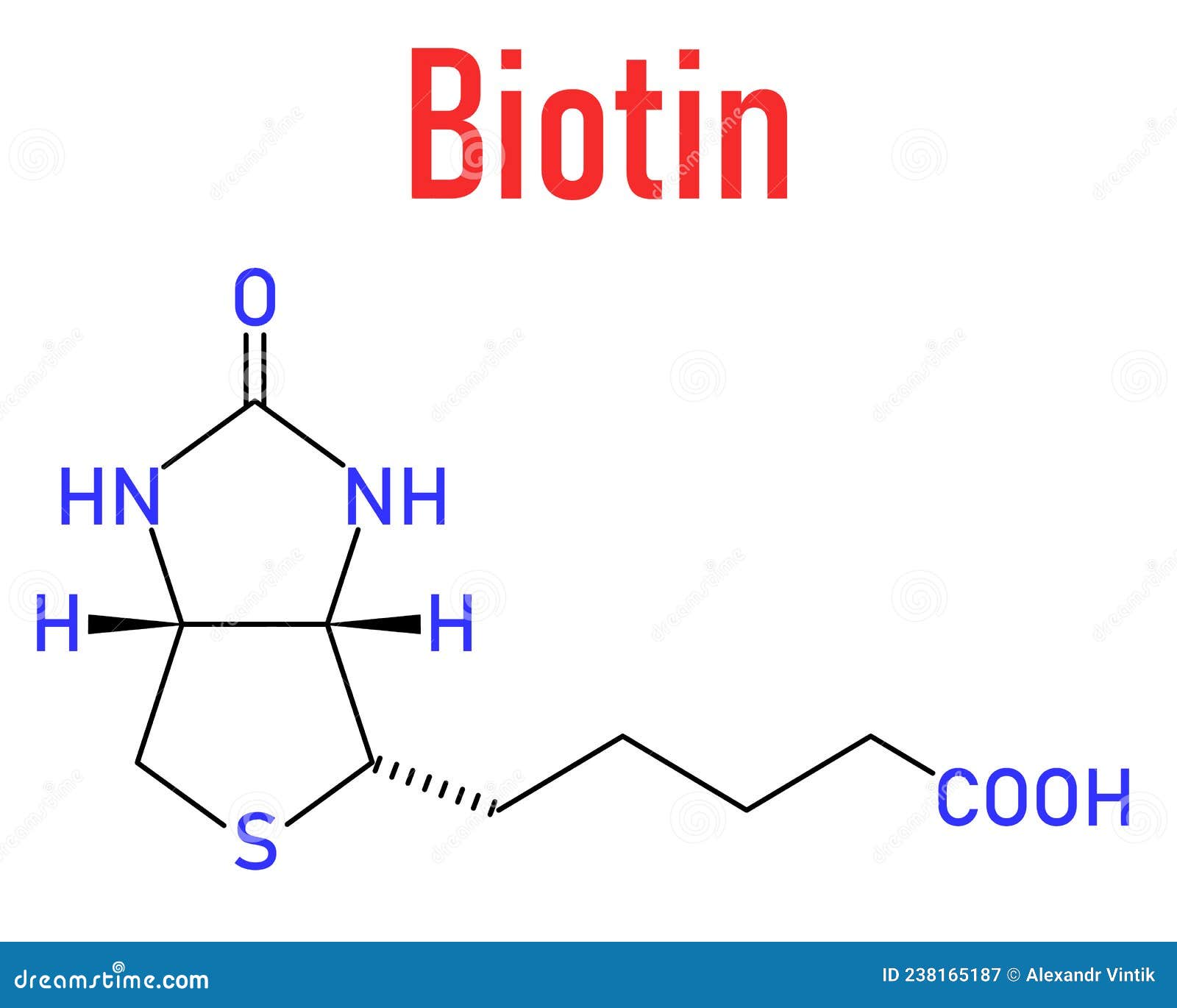 Biotin Or Vitamin B7 Molecule. Skeletal Formula. Cartoon Vector ...