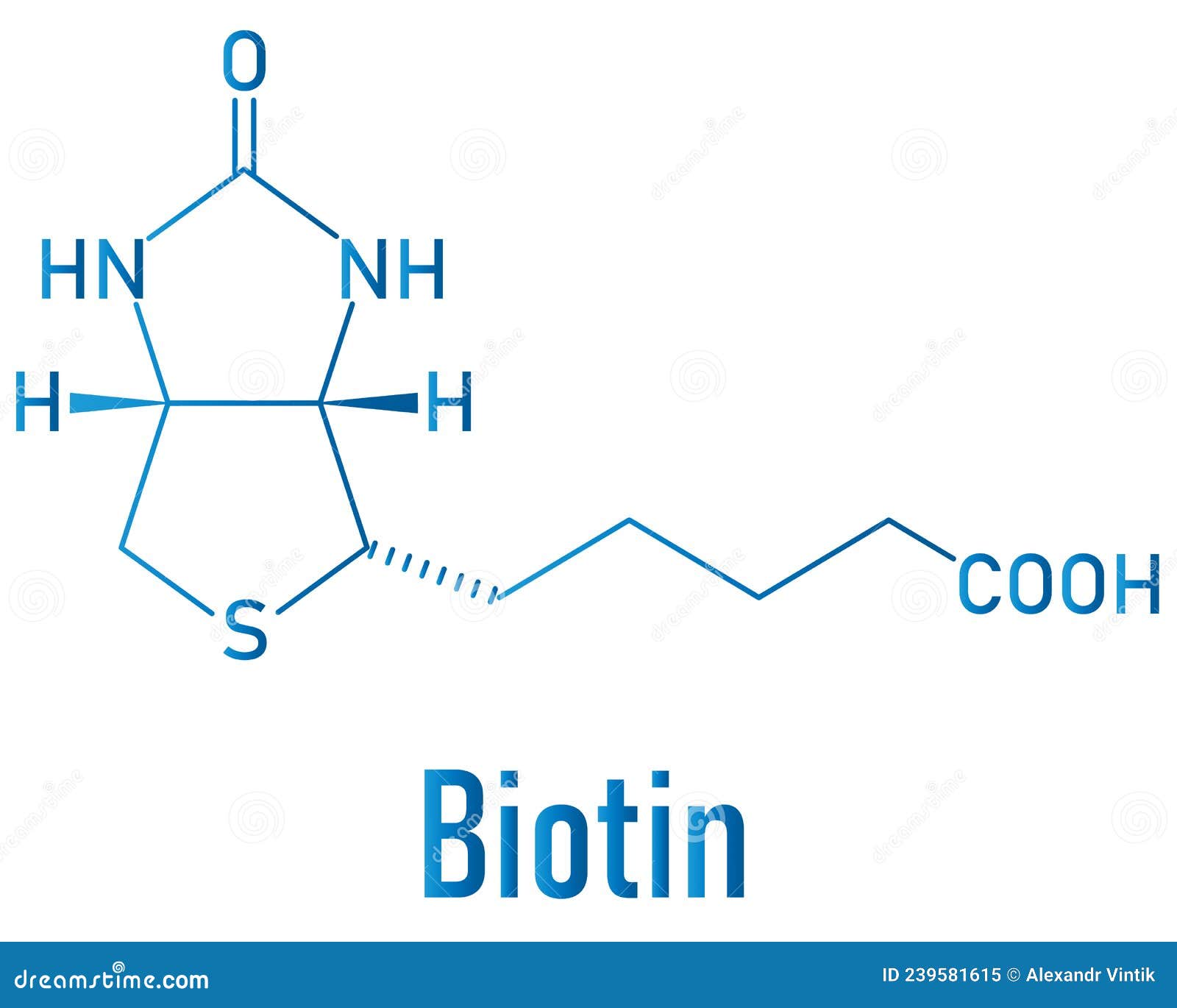 Biotin Or Vitamin B7 Molecule. Skeletal Formula. Cartoon Vector ...