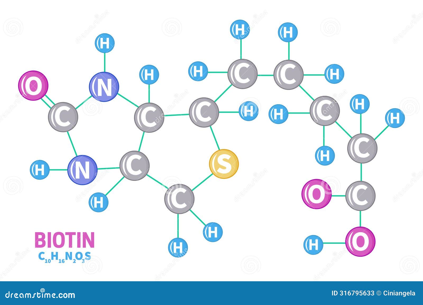 Biotin Vitamin B7 Molecule Structure Formula Illustration Stock Vector ...
