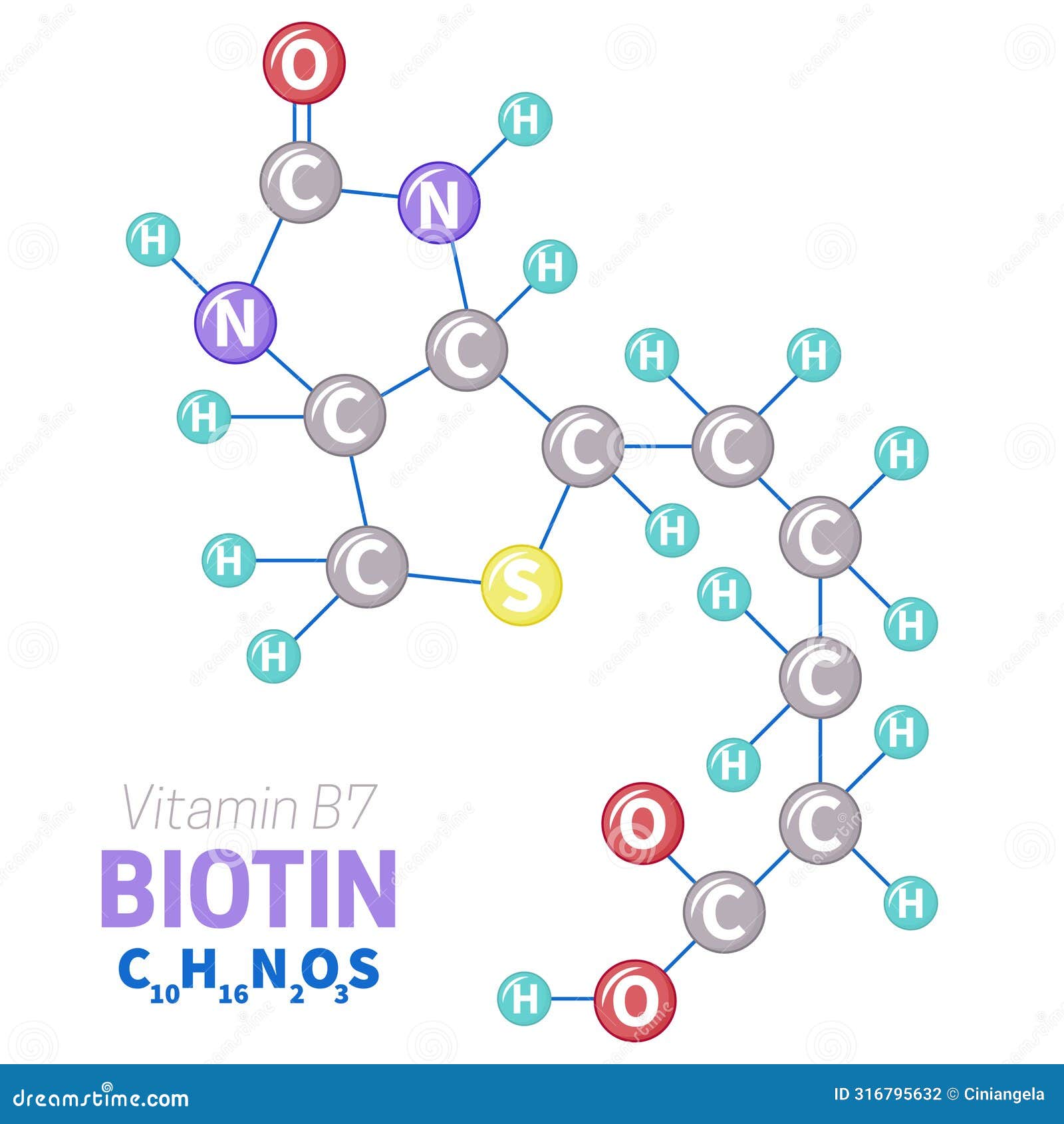 Biotin Vitamin B7 Chemical Formula And Skeletal Structure Vector ...