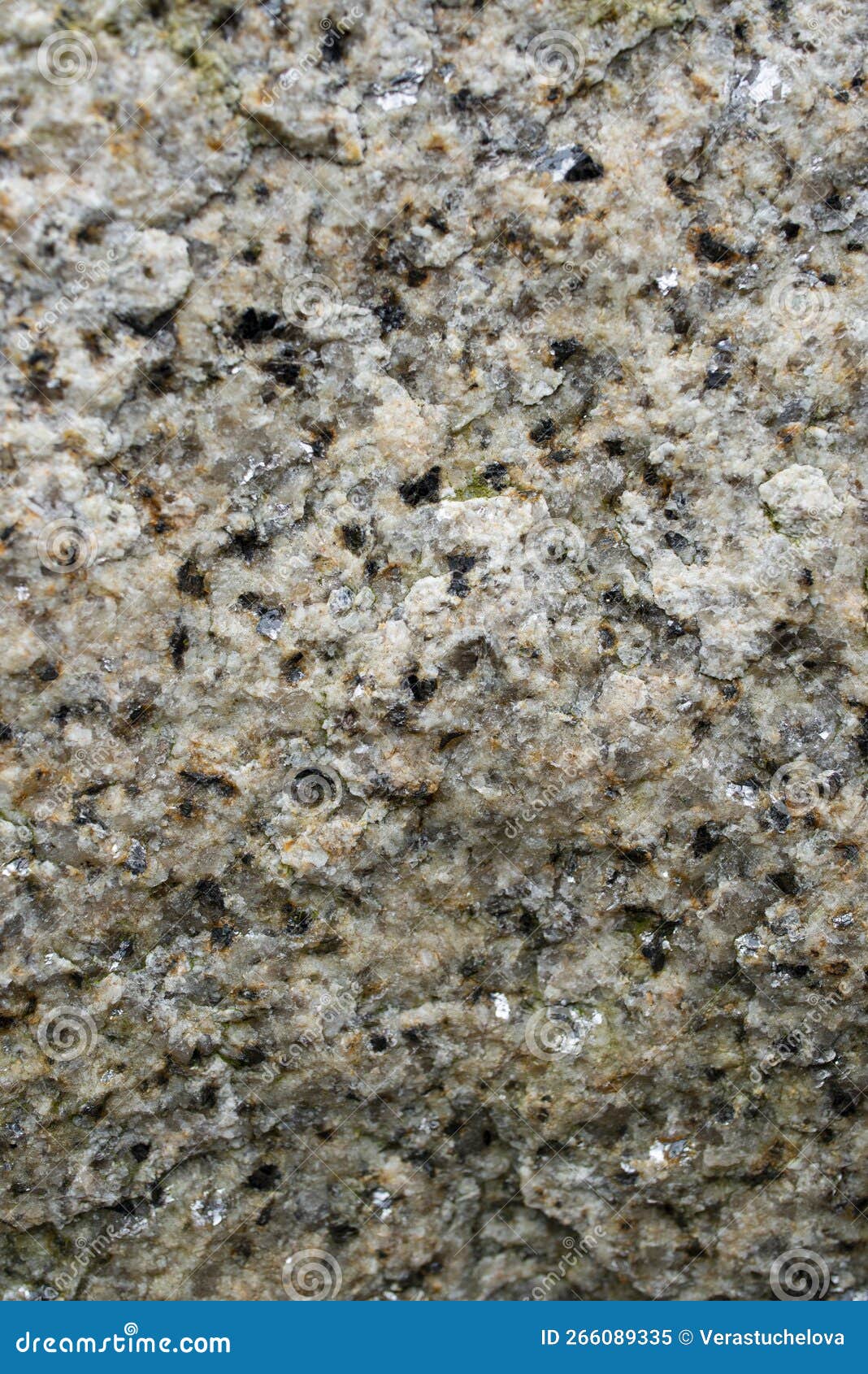 The Biotite Granite Stone with Visible Details Stock Image - Image of ...