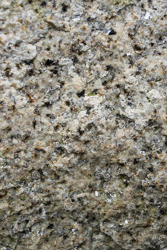 The Biotite Granite Stone with Visible Details Stock Image - Image of ...
