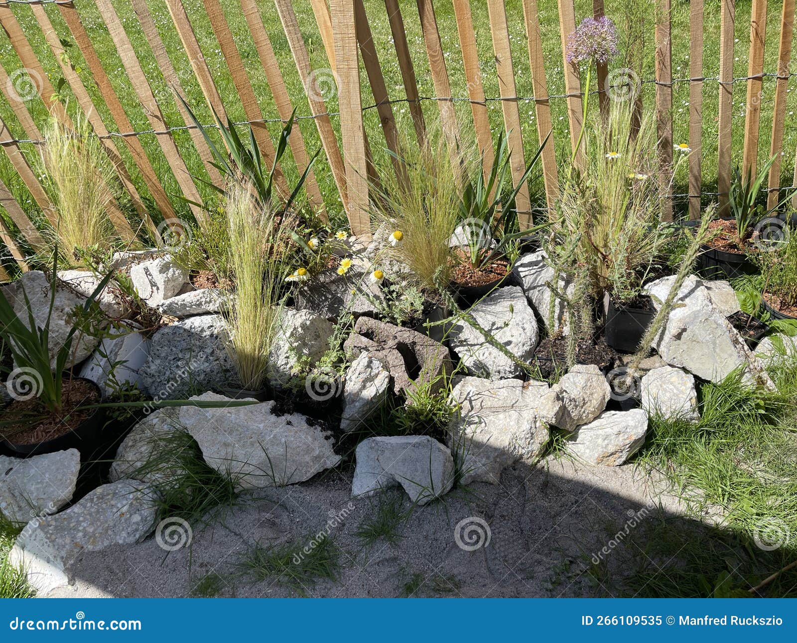 Biotopes nature reserves stock image. Image of rods - 266109535