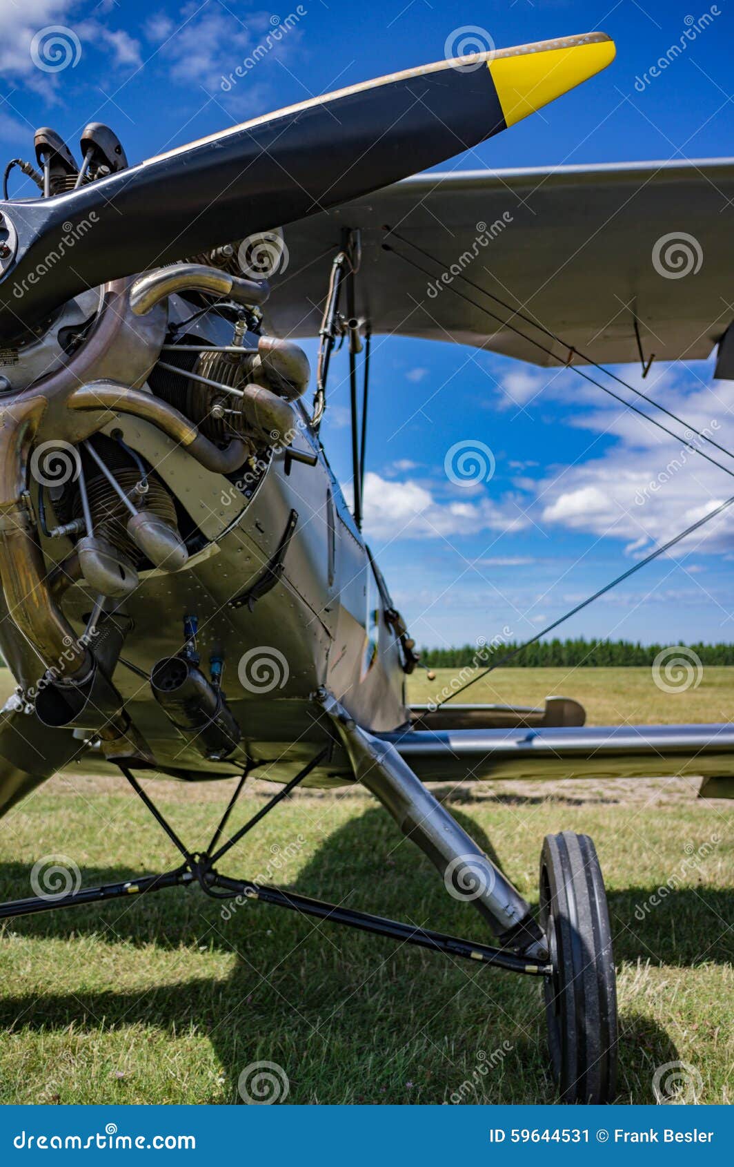 Biplan de Focke Wulf FW44J image stock. Image du rétro - 59644531