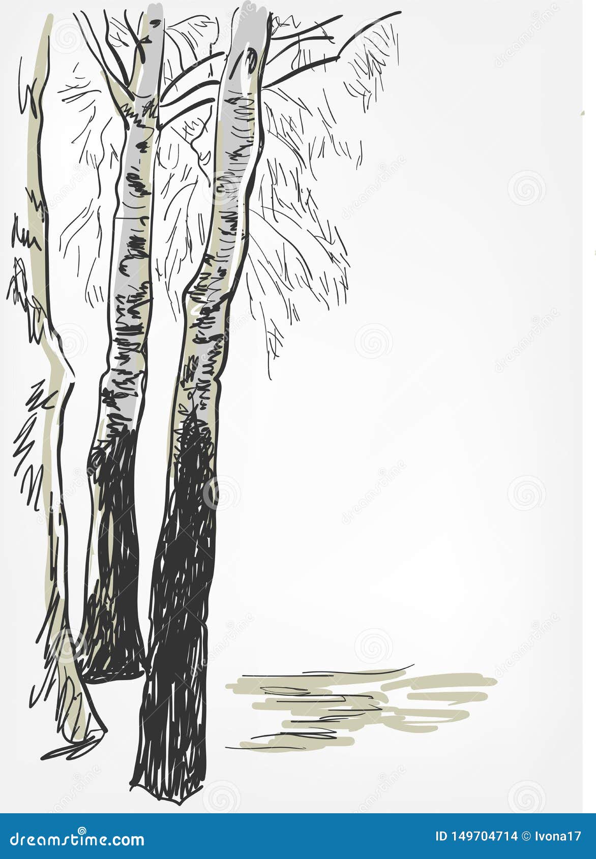 Line Drawn Birch Stock Illustrations – 954 Line Drawn Birch Stock ...