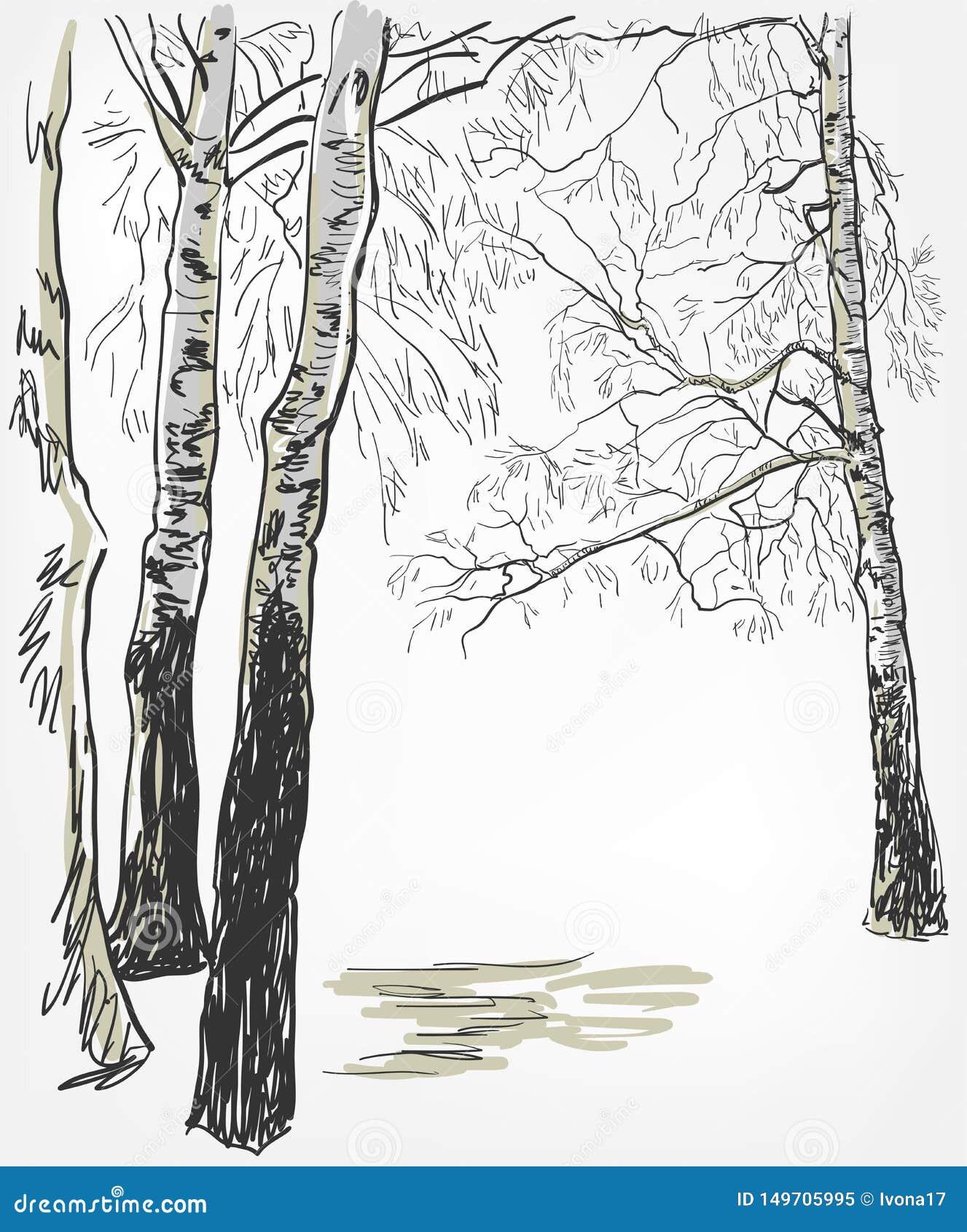 Birch Background Vector Sketch Line Watercolor Tree Stock Illustration ...