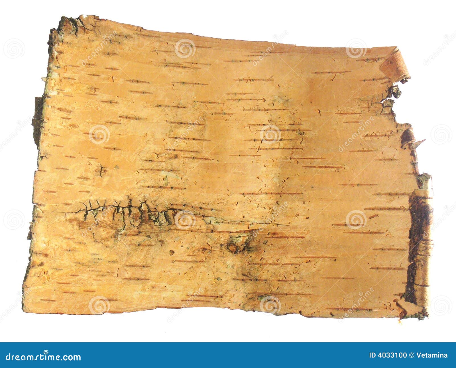 163 Birch Bark Scroll Stock Photos - Free & Royalty-Free Stock Photos ...
