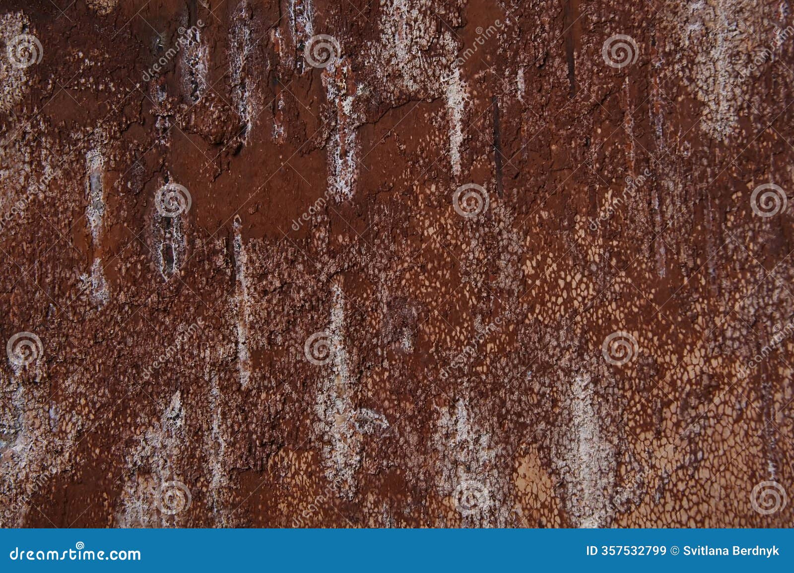 Birch Bark Background. the Inner Side of the Birch Bark. Stock Image ...