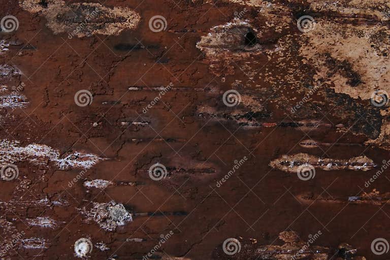 Birch Bark Background. the Inner Side of the Birch Bark. Stock Photo ...
