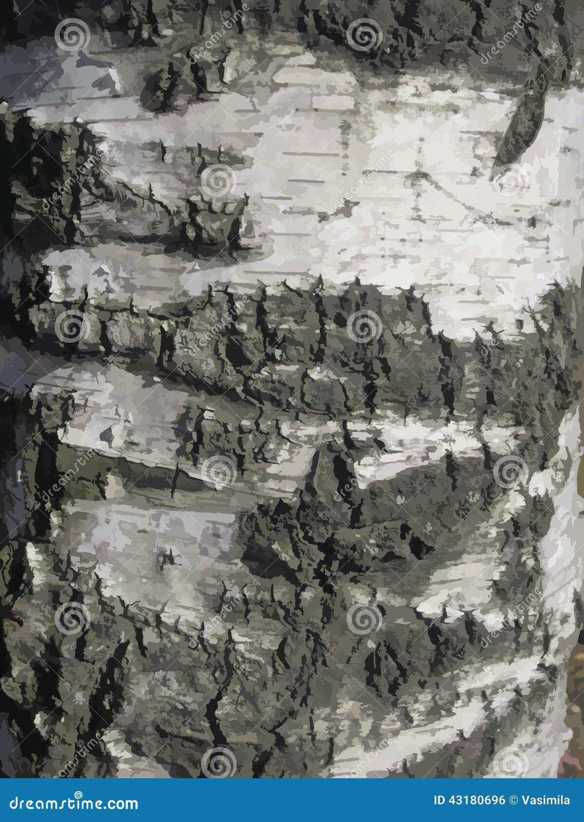 Birch bark stock vector. Illustration of trunk, roughness - 43180696