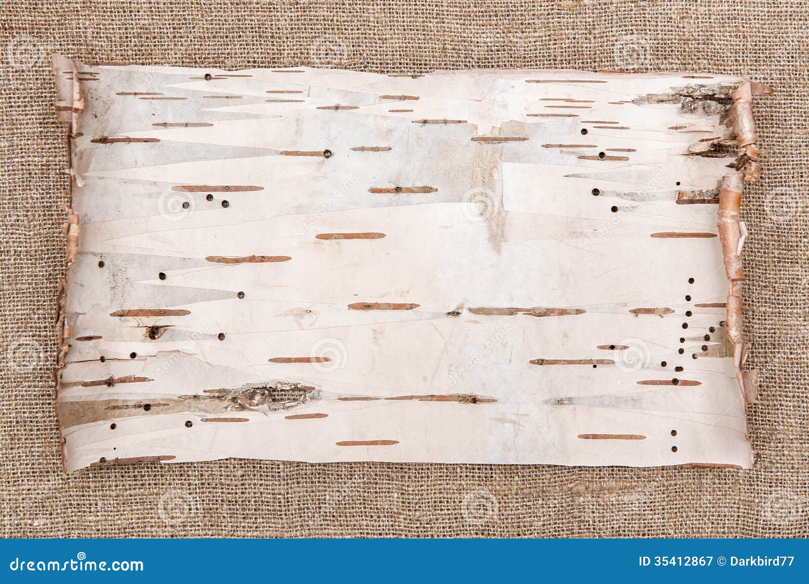 Birch Bark on Burlap Background Stock Image - Image of element, ancient ...