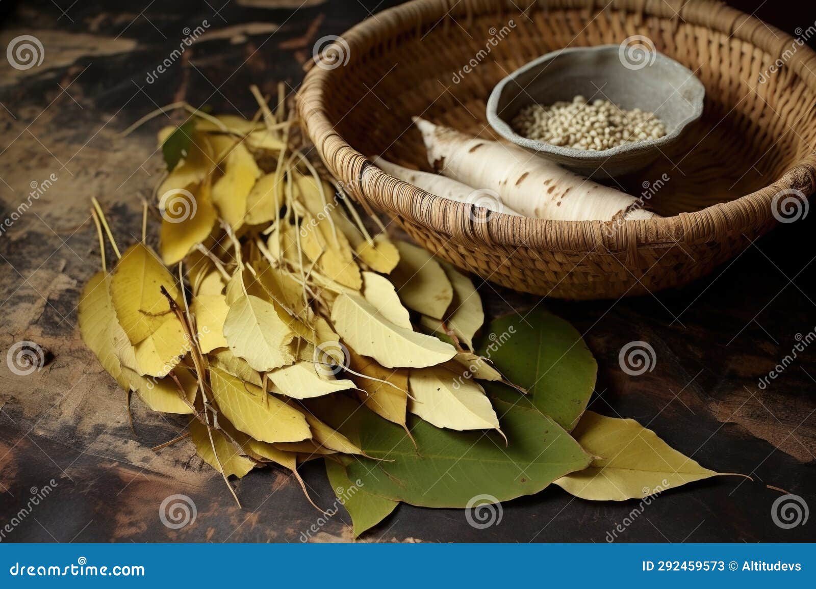 Birch Bark and Leaves Prepared for Making Tea Stock Image - Image of ...