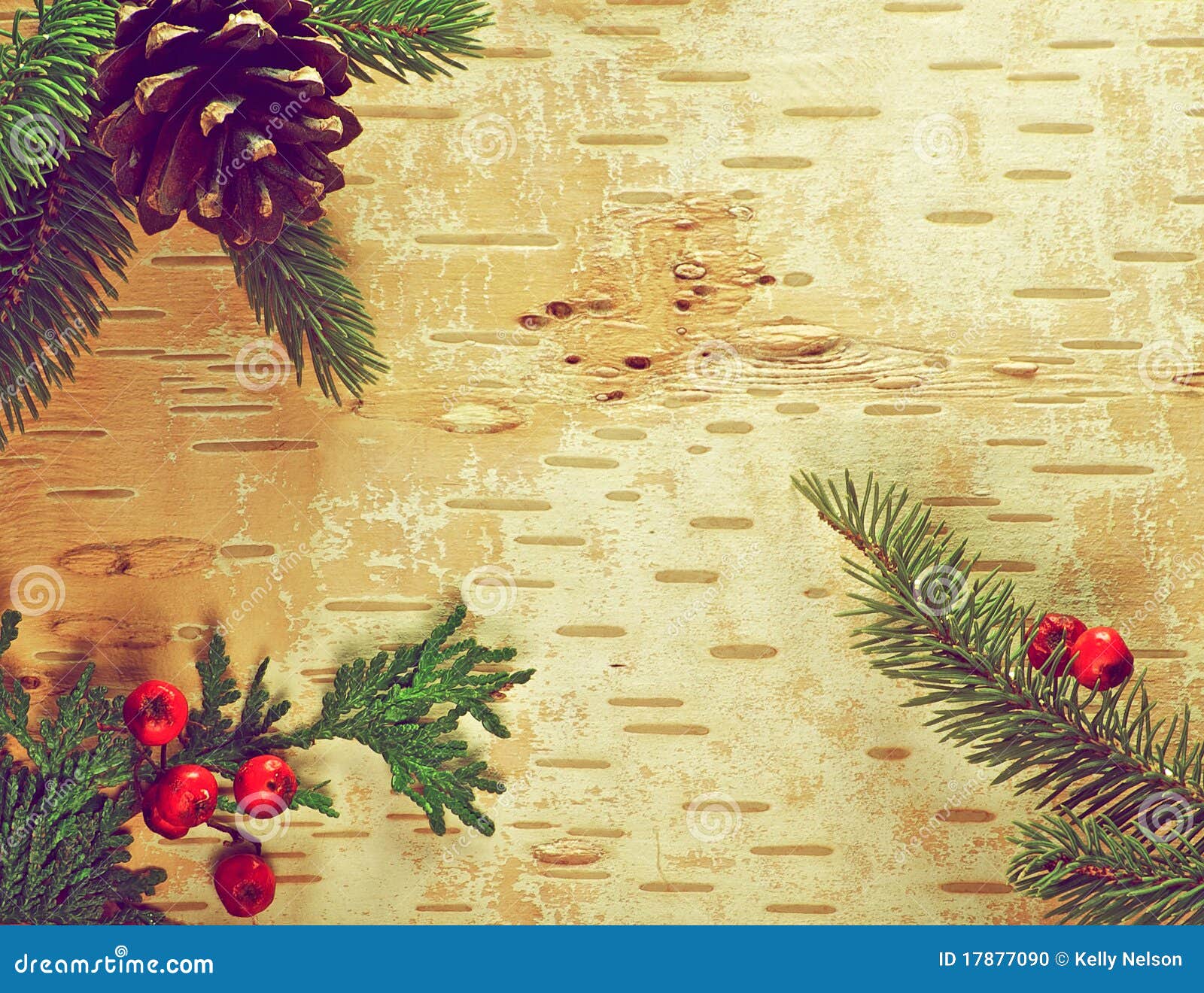 Birch Bark Paper Nature Background. Stock Photo - Image of vintage ...