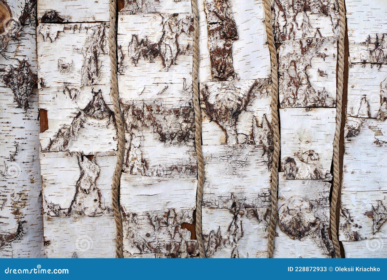 Birch Bark Texture. Decorative Wall Made of Birch Bark Stock Image ...