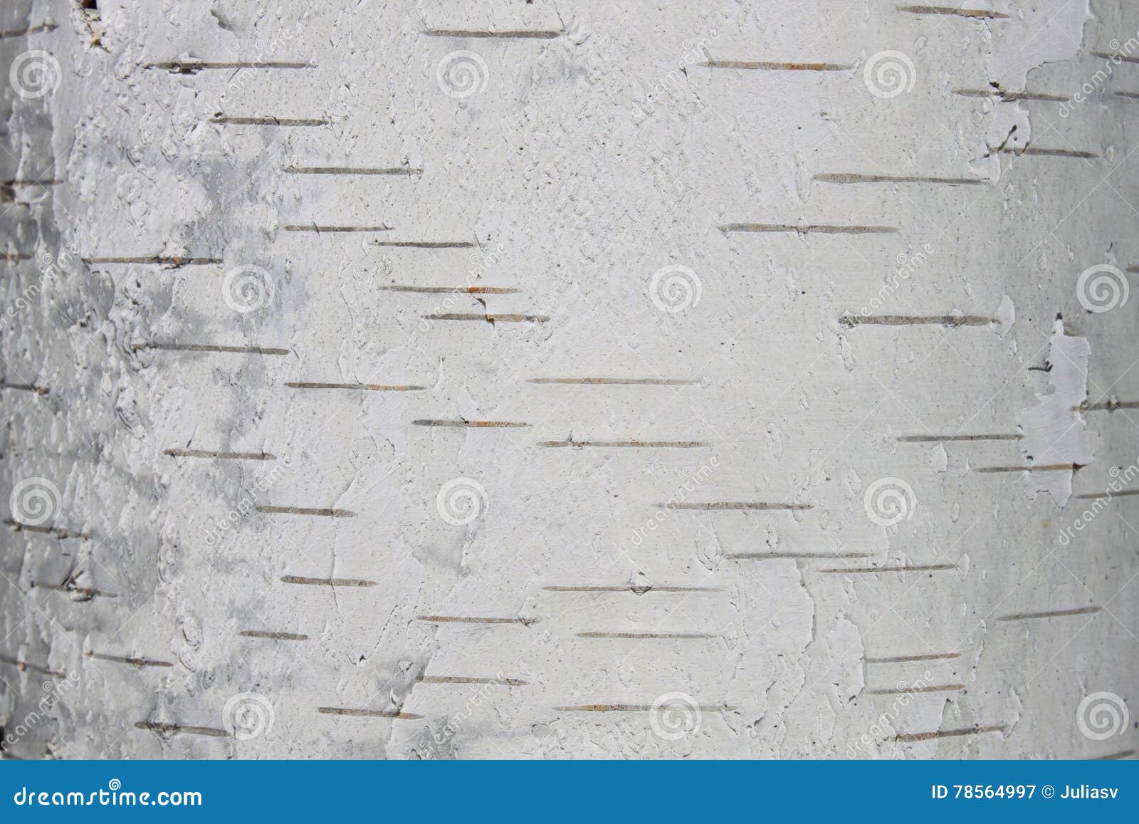Birch Bark Texture Natural Background Paper Close-up Stock Image ...
