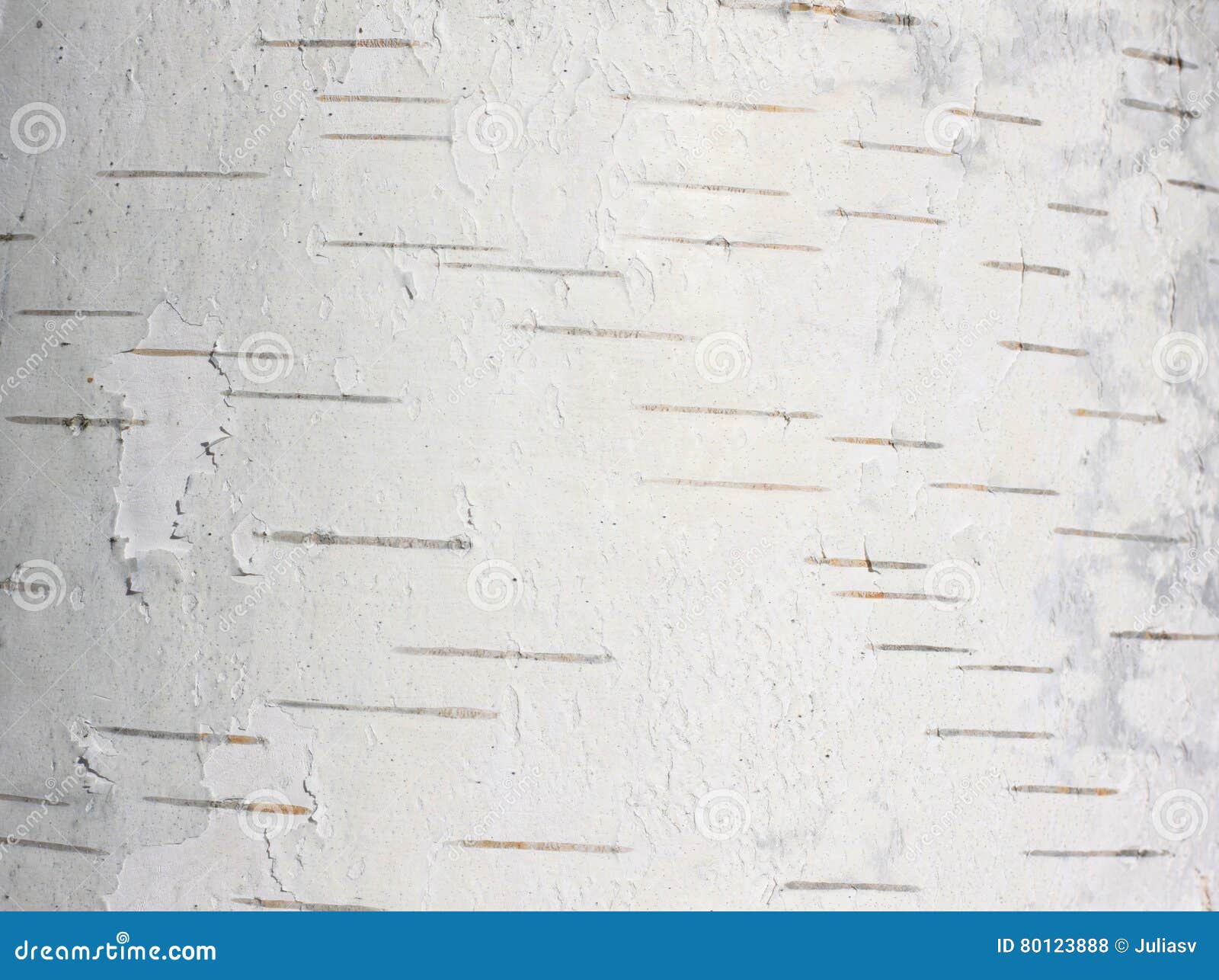 Birch Bark Texture Natural Background Paper Close-up Stock Photo ...