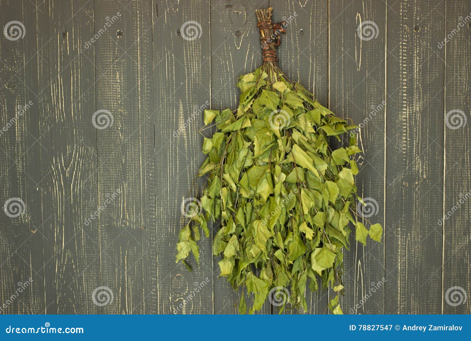 Birch broom. stock image. Image of bath, therapy, tree - 78827547