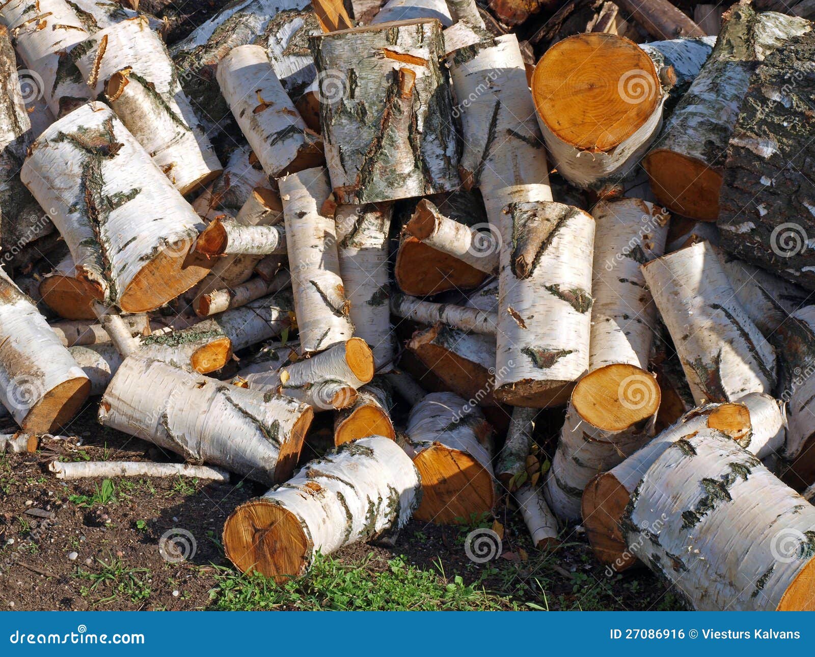 Birch fire wood stock photo. Image of stack, ground, close - 27086916