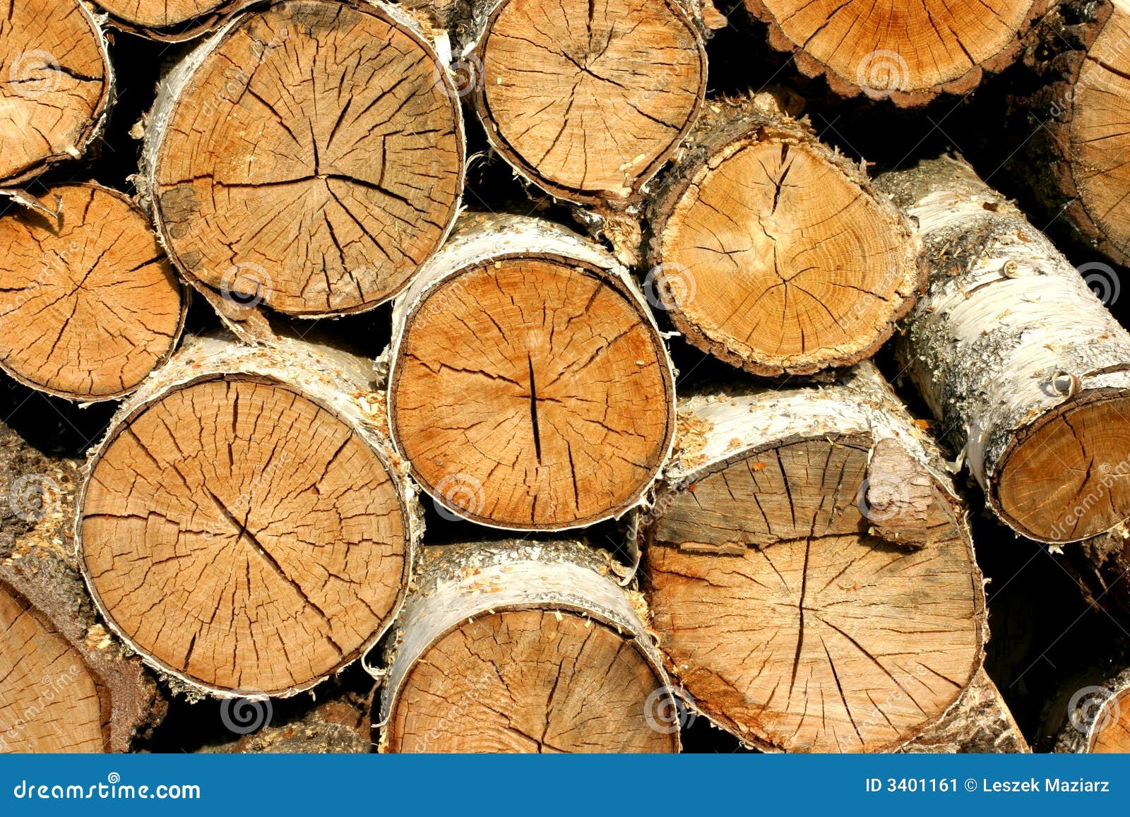 Birch fire wood stock image. Image of construction, hardwood - 3401161