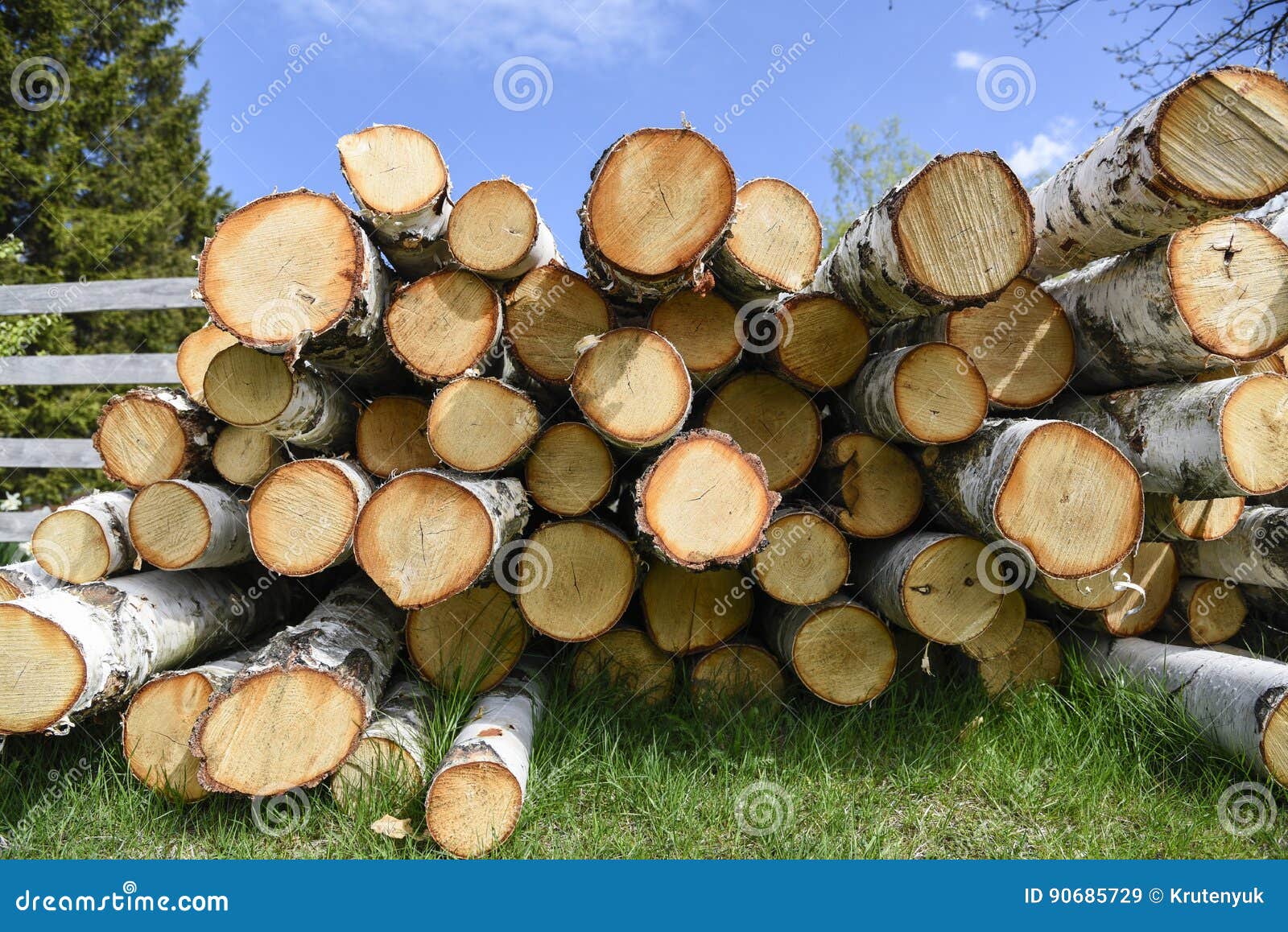 Birch fire wood stock image. Image of hardwood, heat - 90685729