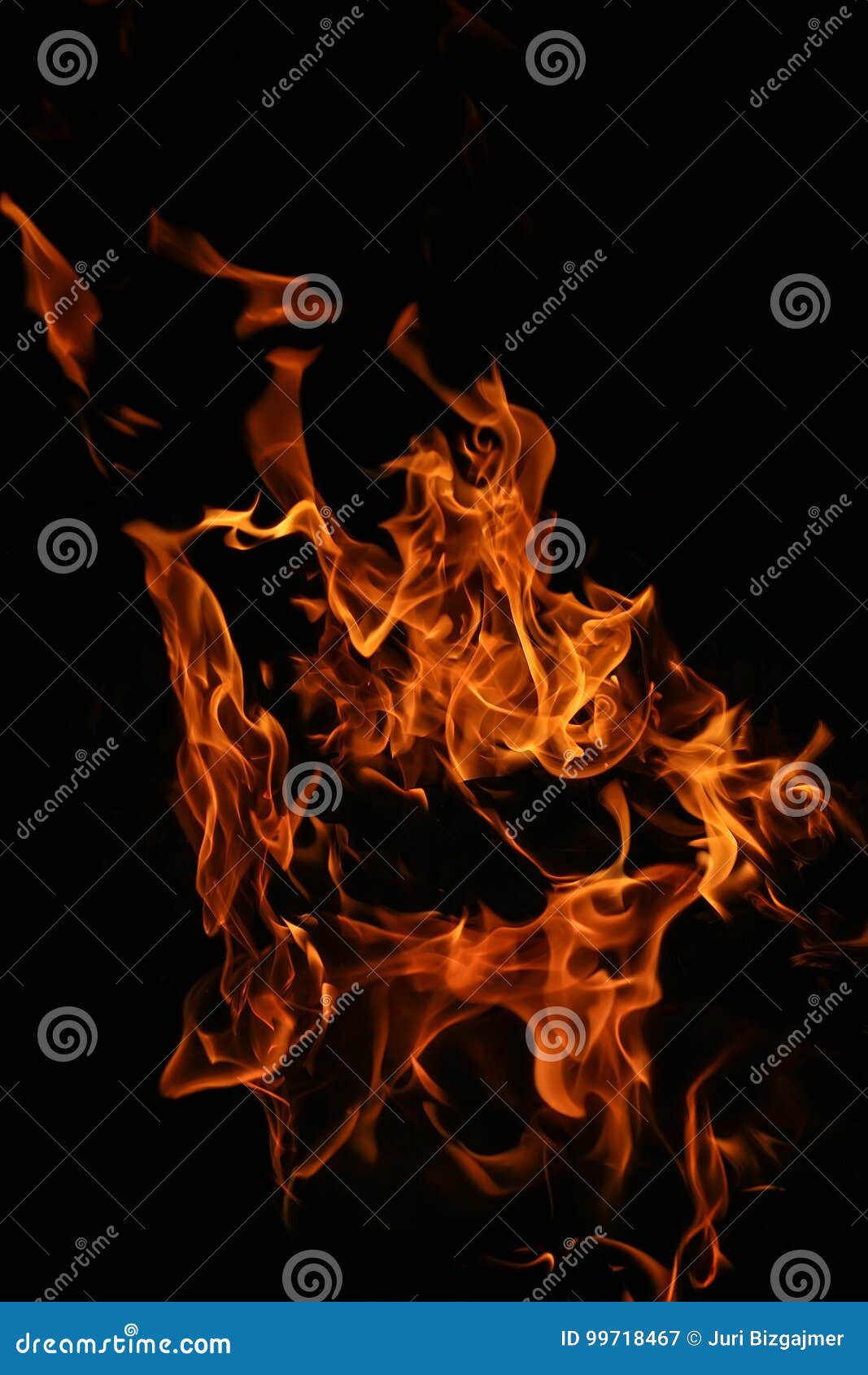 Burning birch firewood stock image. Image of color, campfire - 99718467