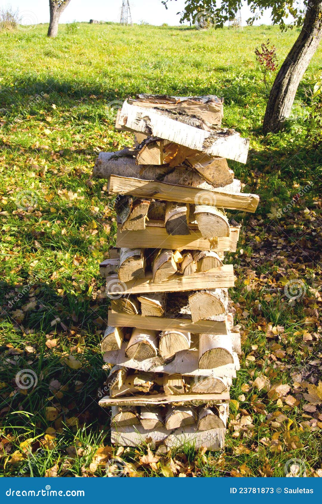 Birch Firewood Loaded Stack Organic Fuel Fireplace Stock Image - Image ...