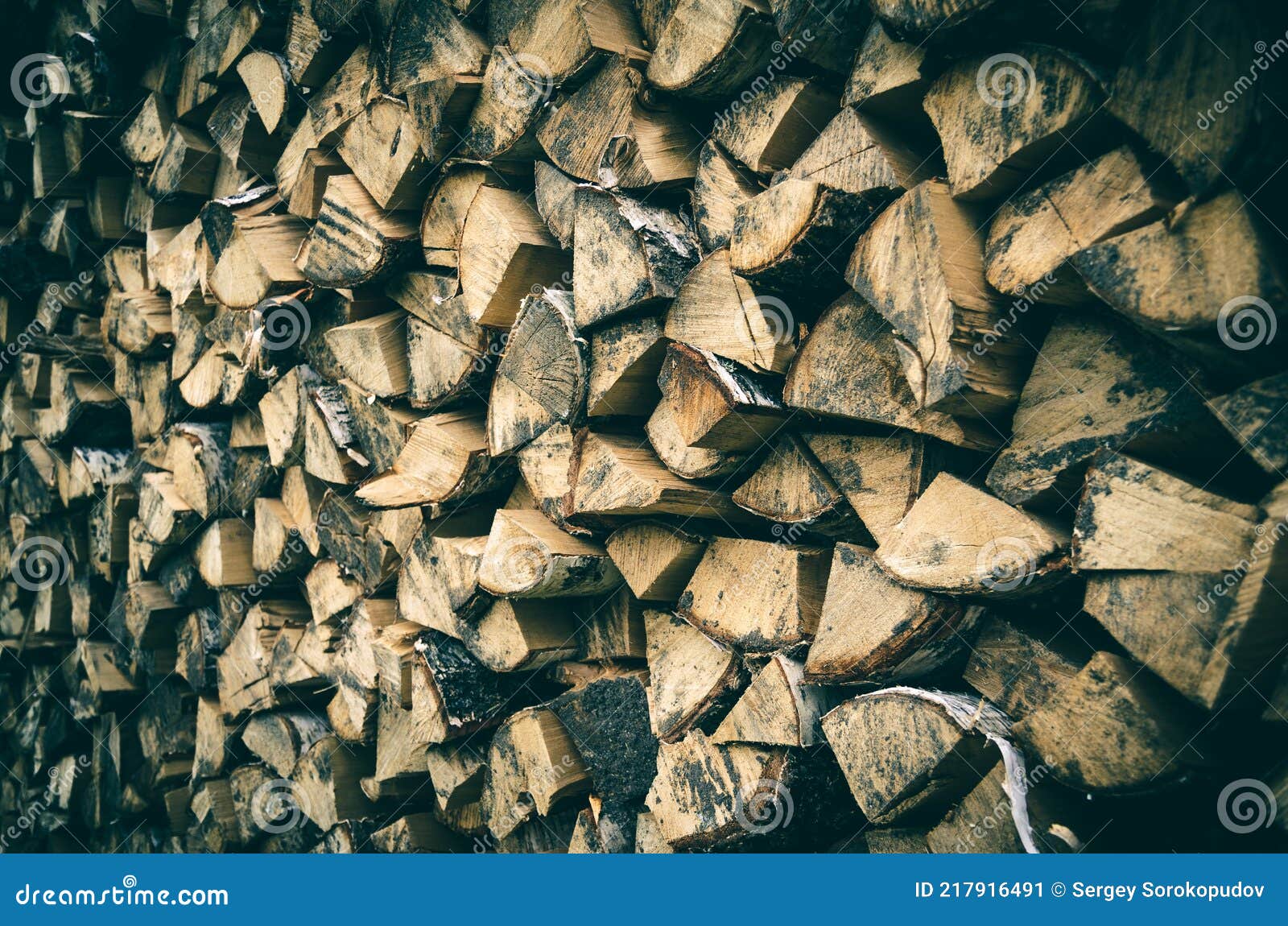 Birch Firewood Stacked in a Row Stock Image - Image of green, nature ...