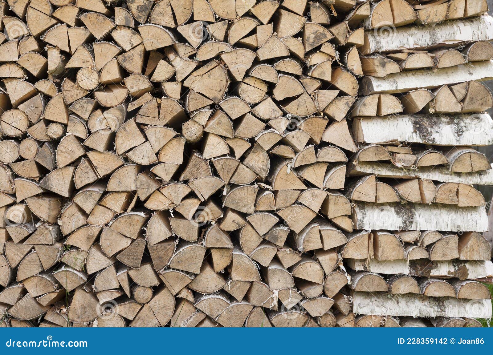 Birch Firewood Stacked in Rows Front View Stock Photo - Image of ...