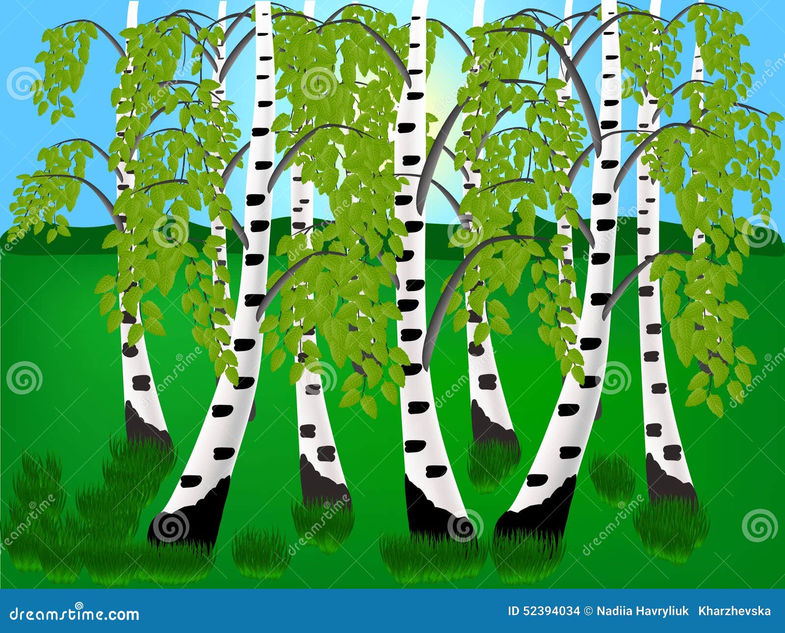 Birch Grove Cartoon Vector | CartoonDealer.com #32598751