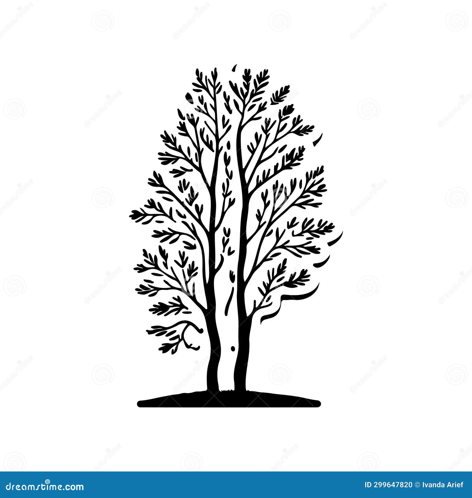 Birch Icon Hand Draw Black Colour Tree Logo Symbol Perfect Stock Vector ...