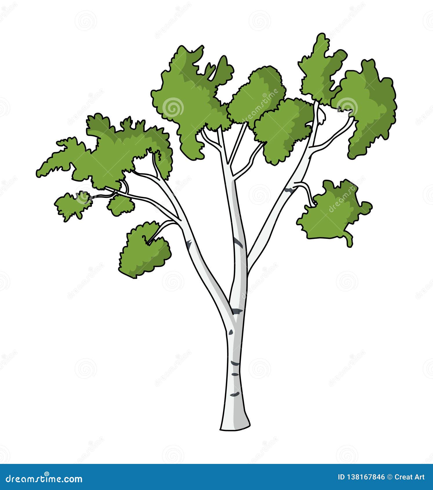 Birch Trees Illustration