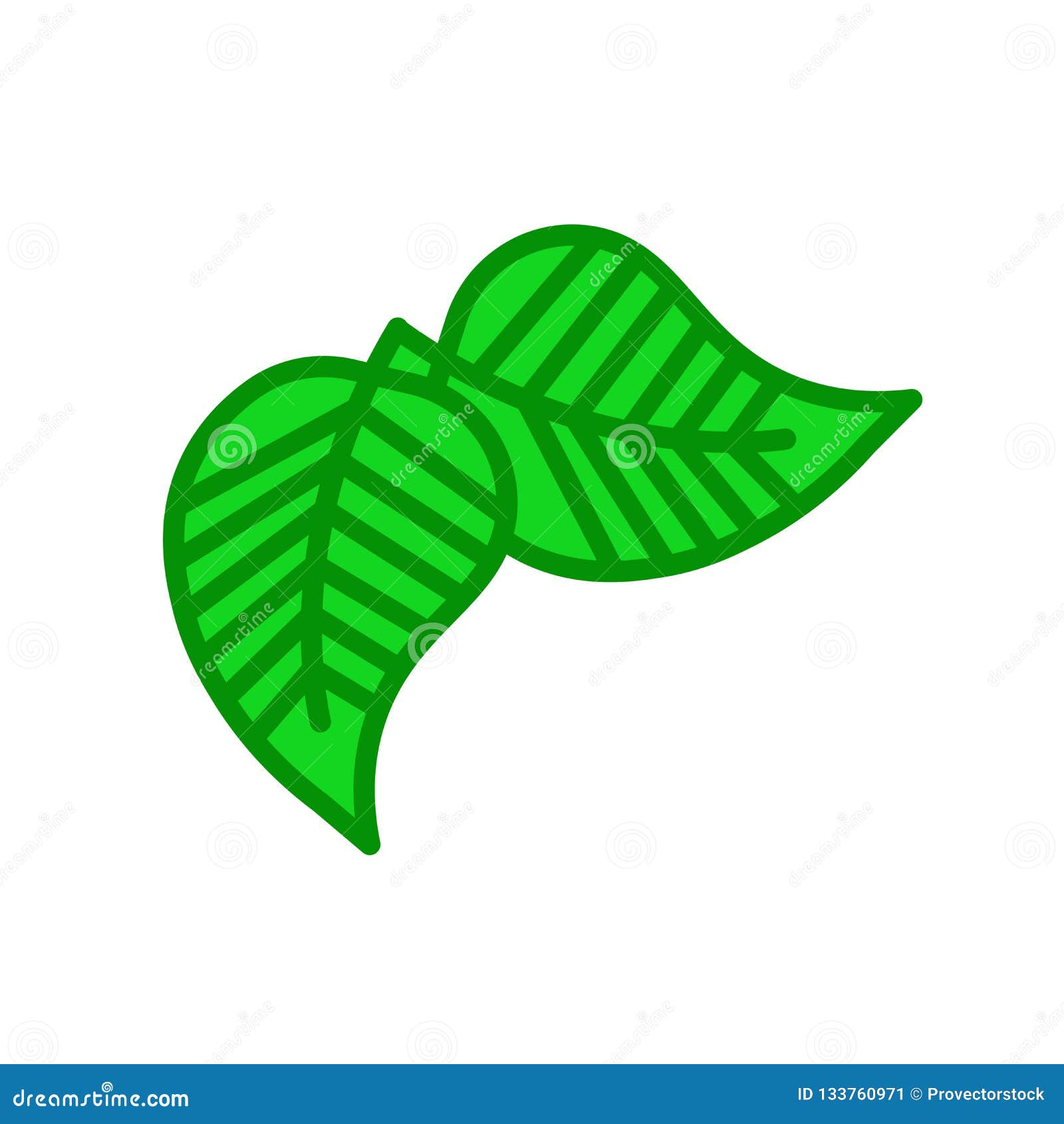 Birch Leaf Icon Vector Sign and Symbol Isolated on White Background ...